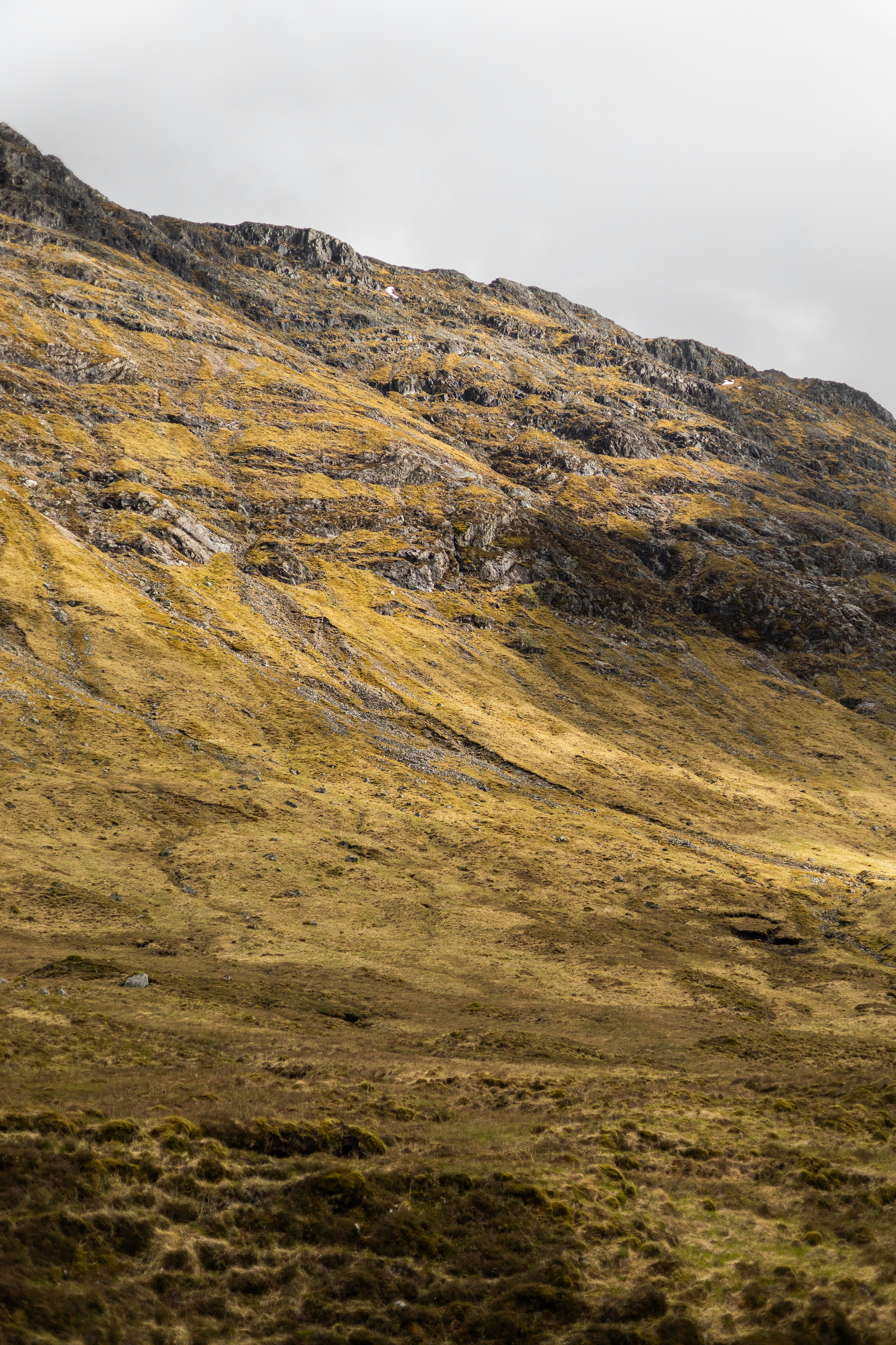 Golden foothills under a quiet gray sky