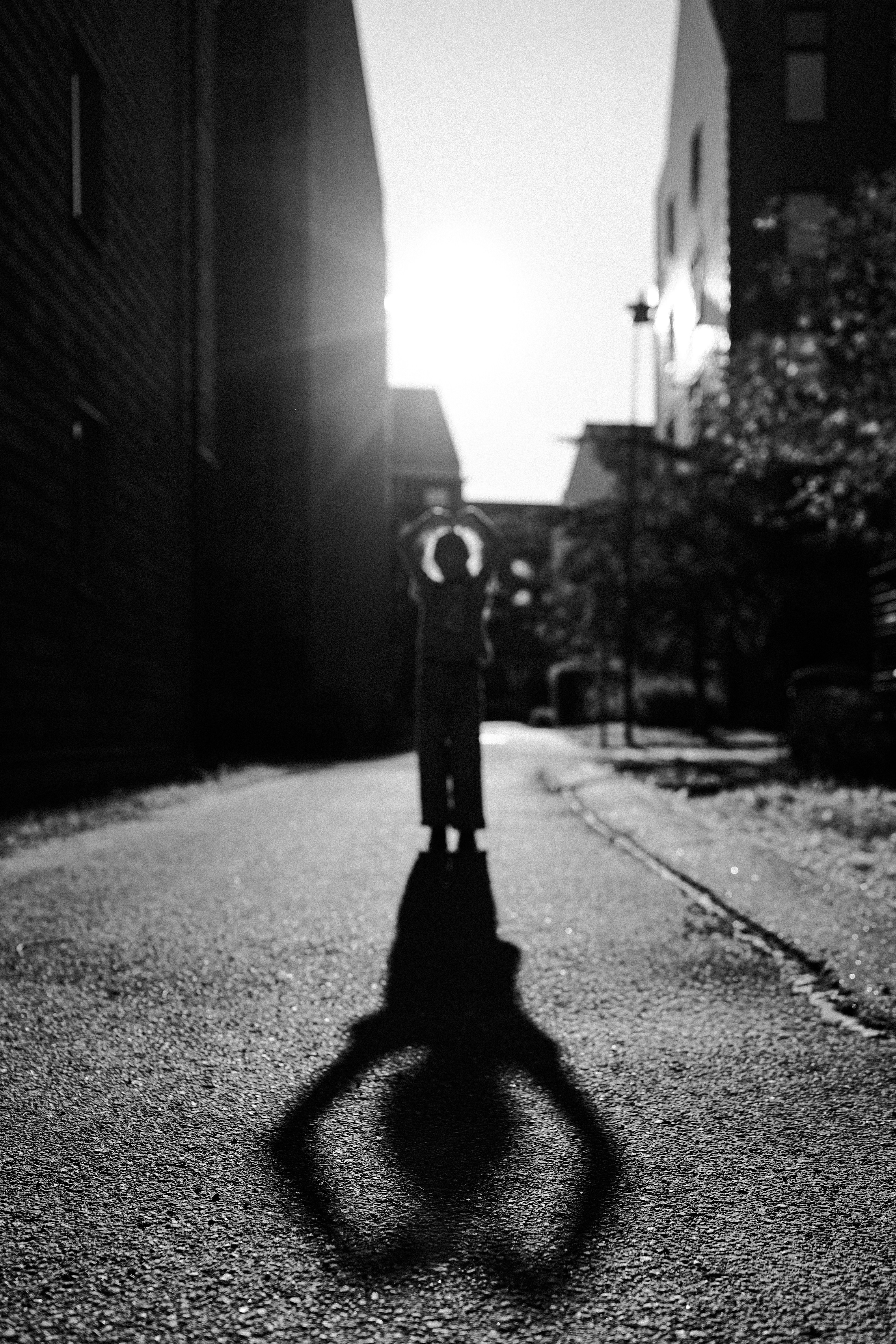 Shadow Sculpted by Sunlit Alley