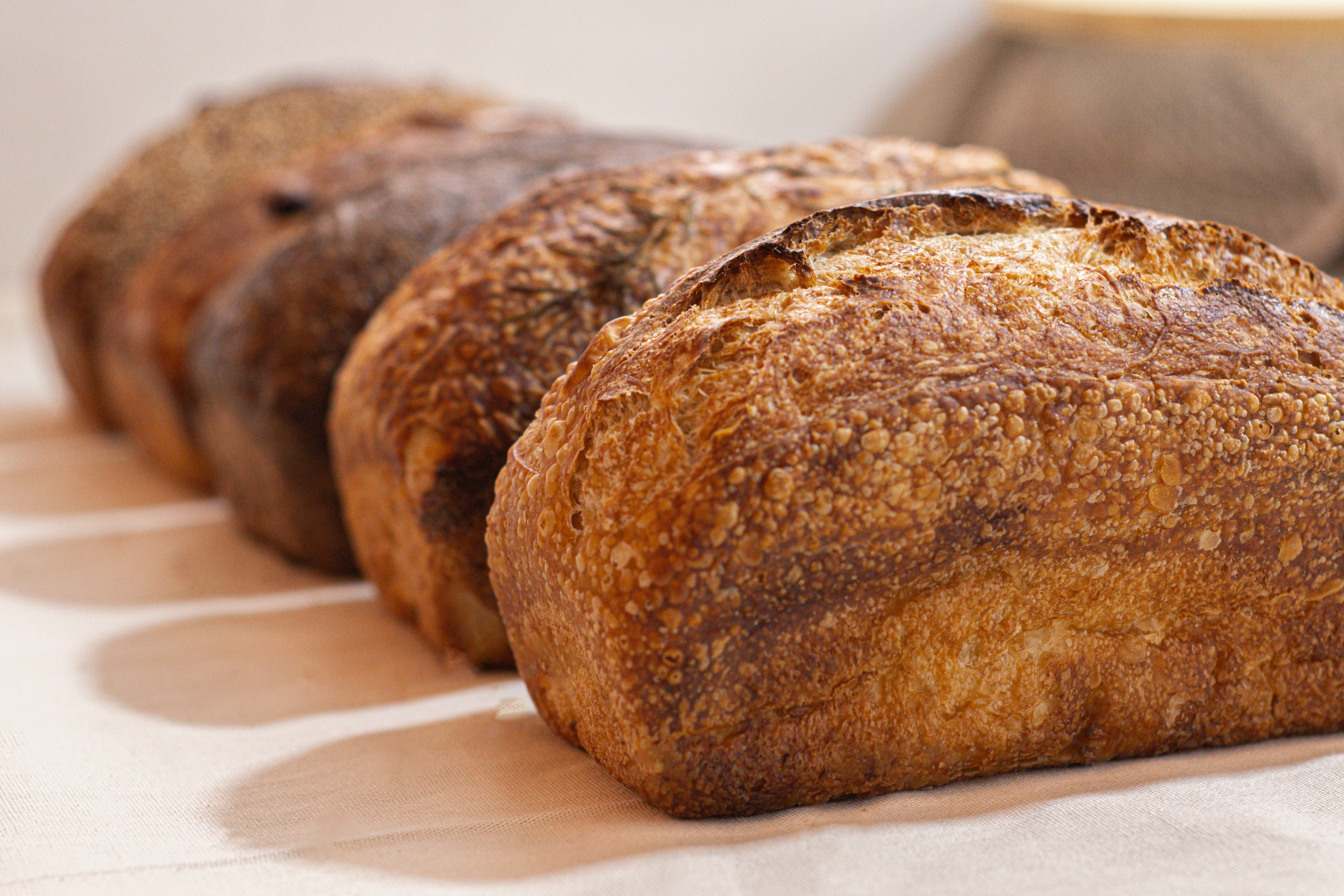 Golden Loaves in a Row: Close-Up of Rustic Bread Boules