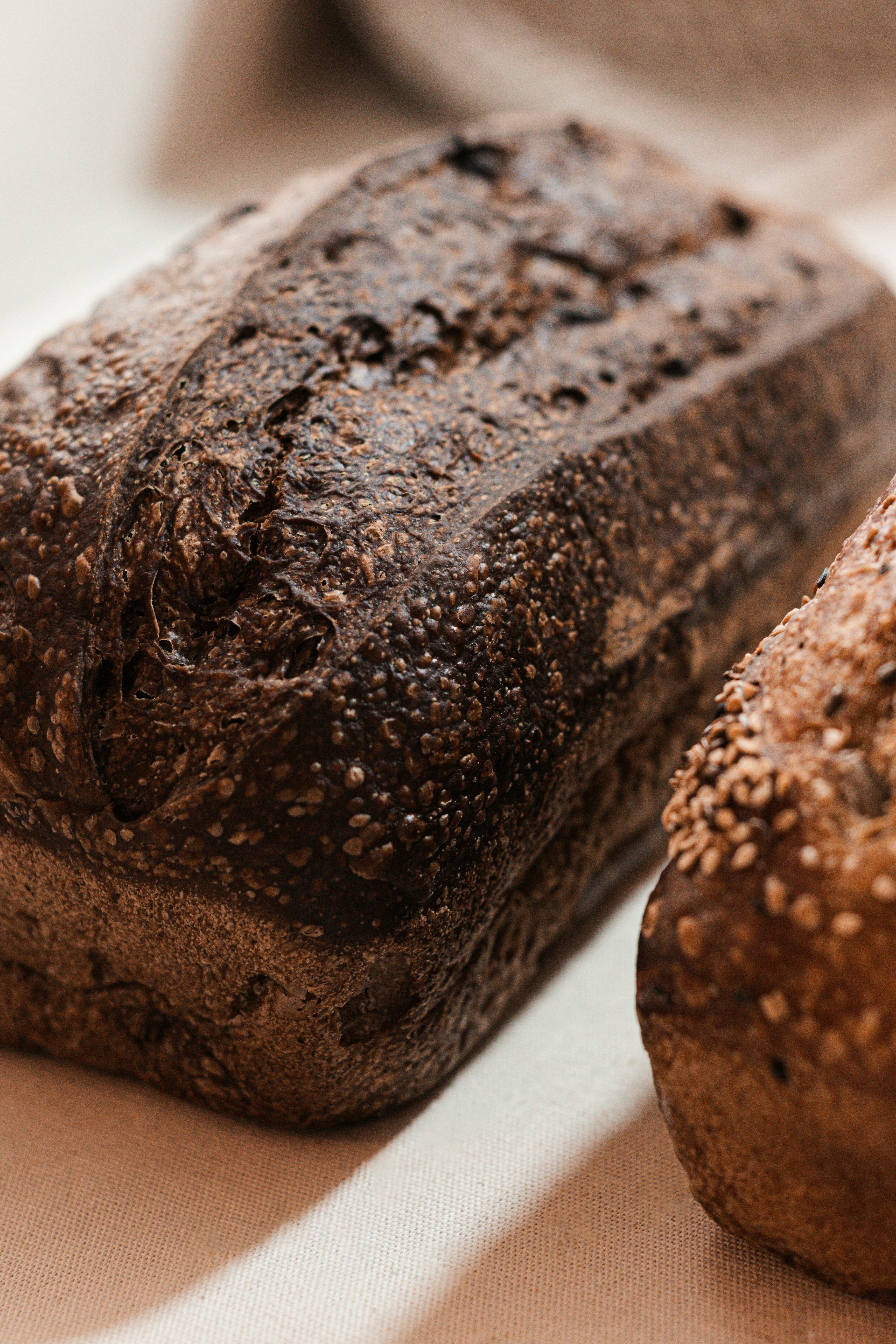Crusty Elegance: A Duo of Seeded Loaves in Soft Focus
