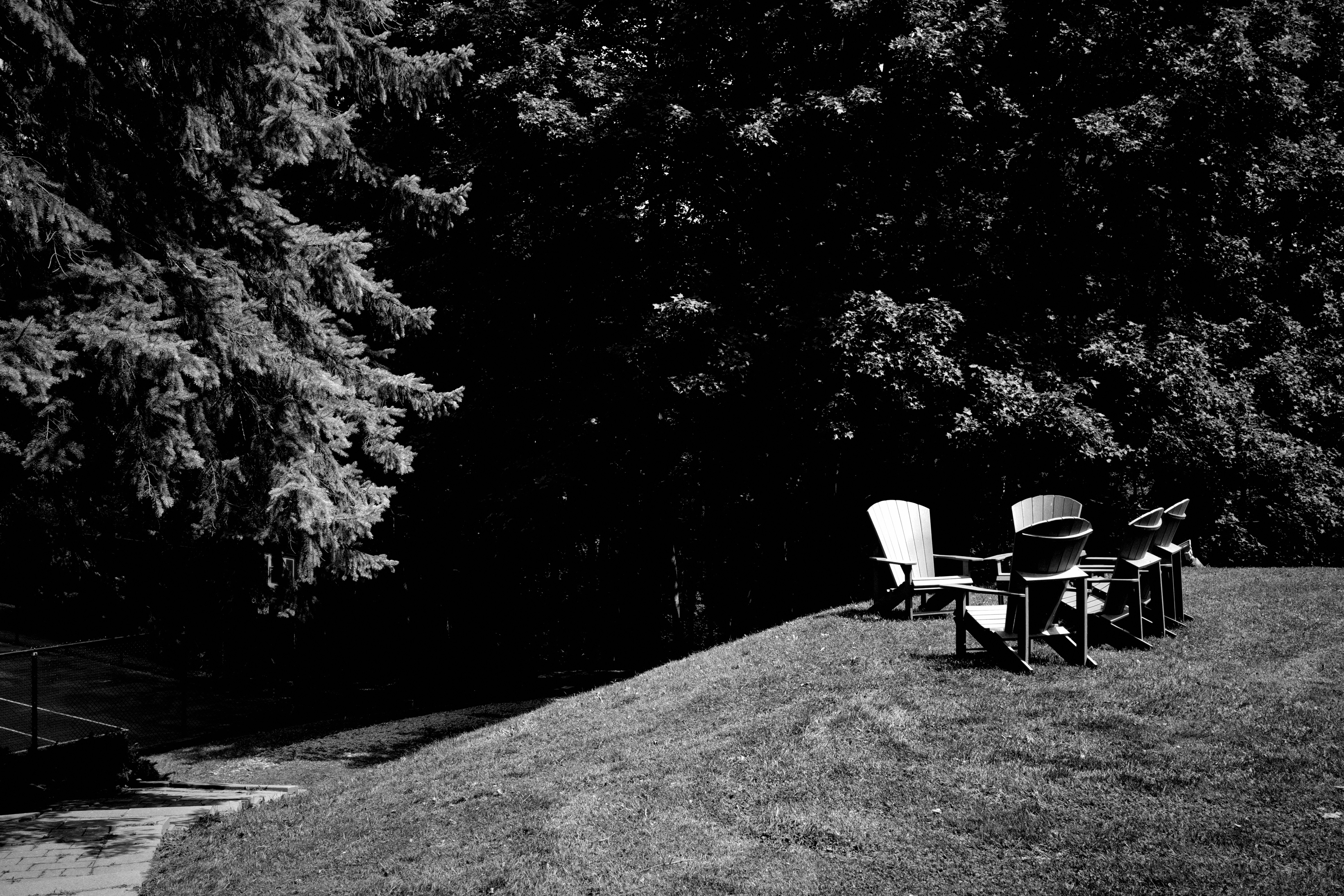 Quiet Terrace Under the Canopy