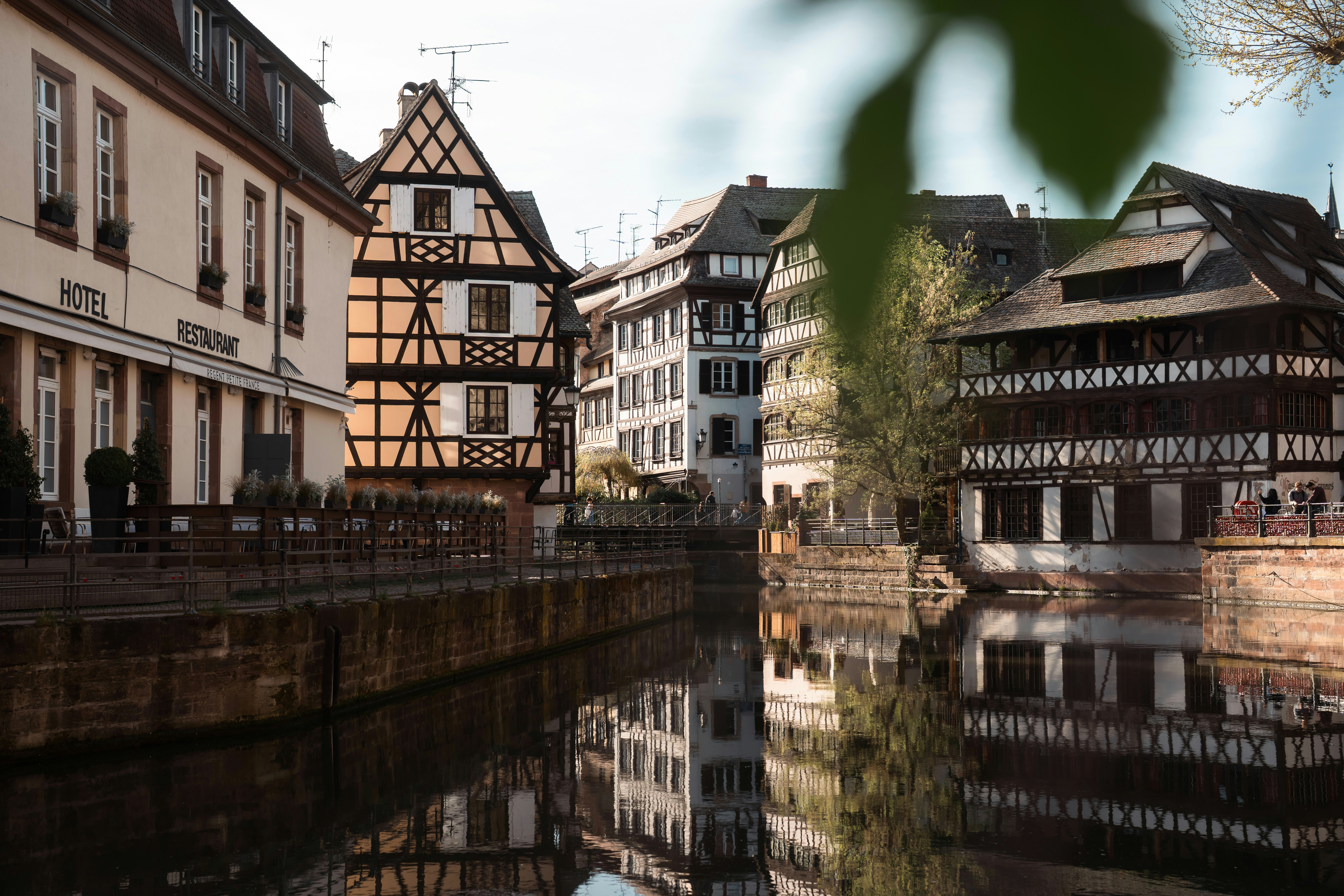 Timbered Charm by the Rhine: A Dutch-Alsatian Canal in Clear Morning Light