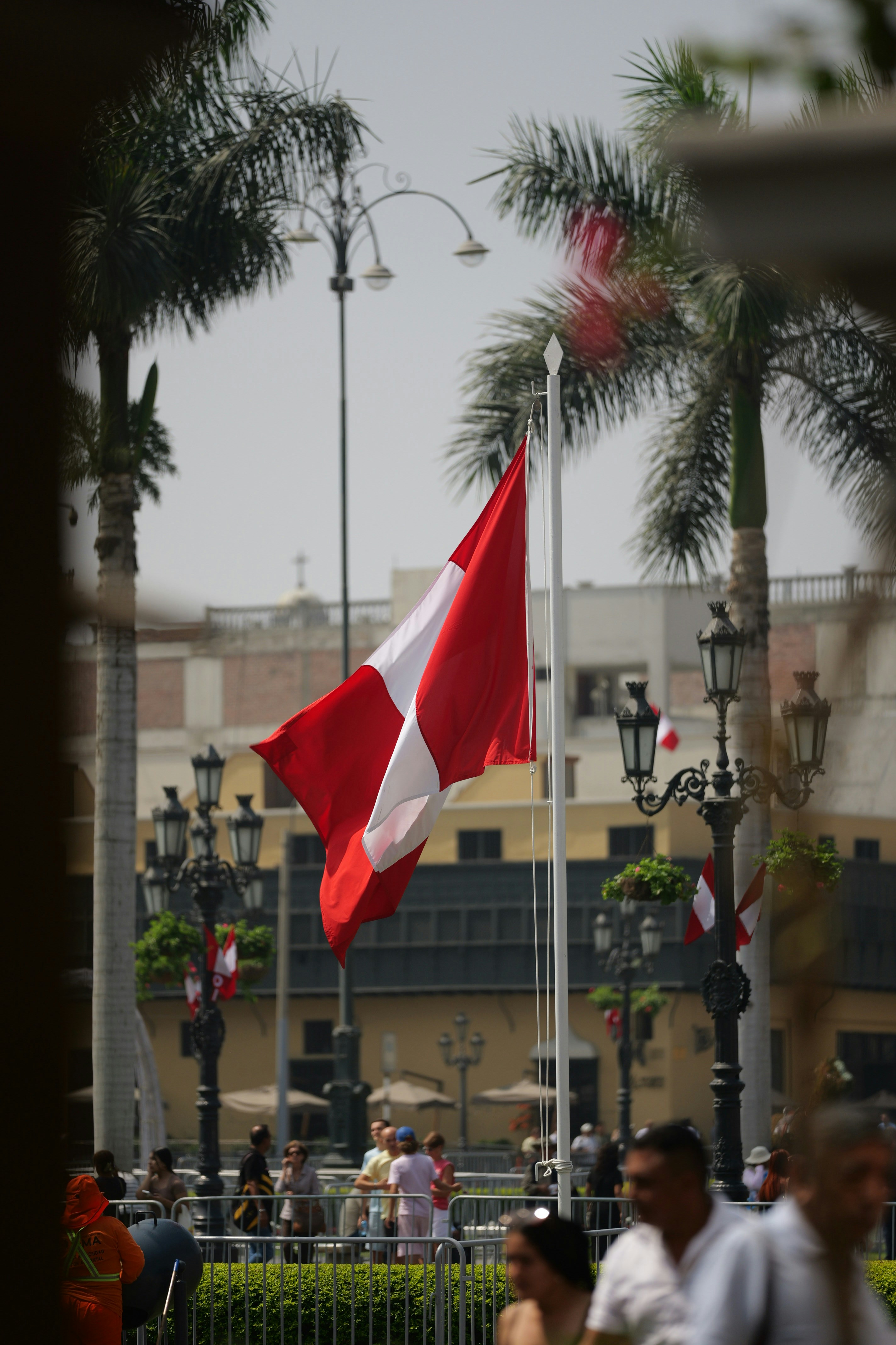 Red Flag in a Palm-Lined Plaza