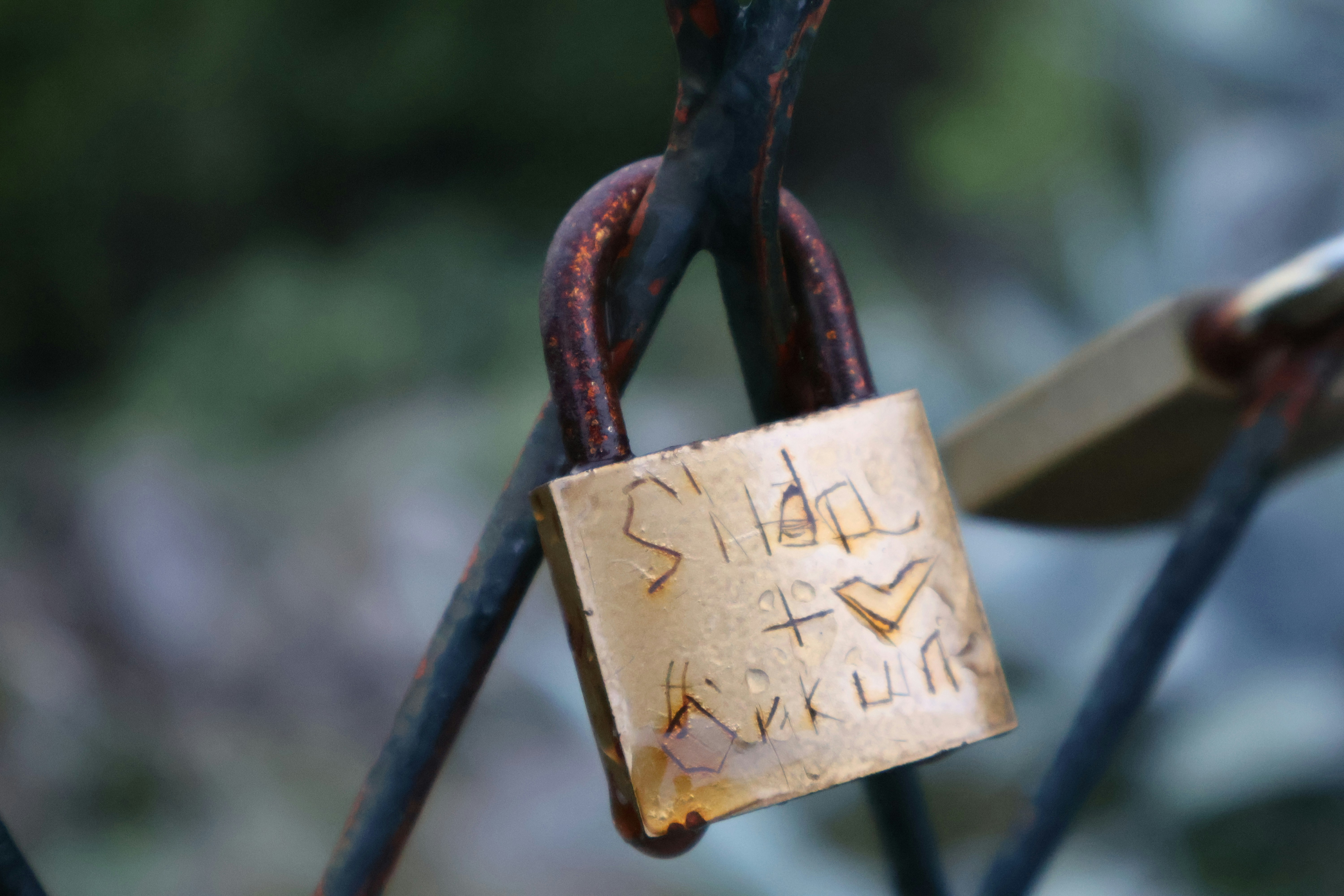 Forgotten Lock on a Woven Threshold