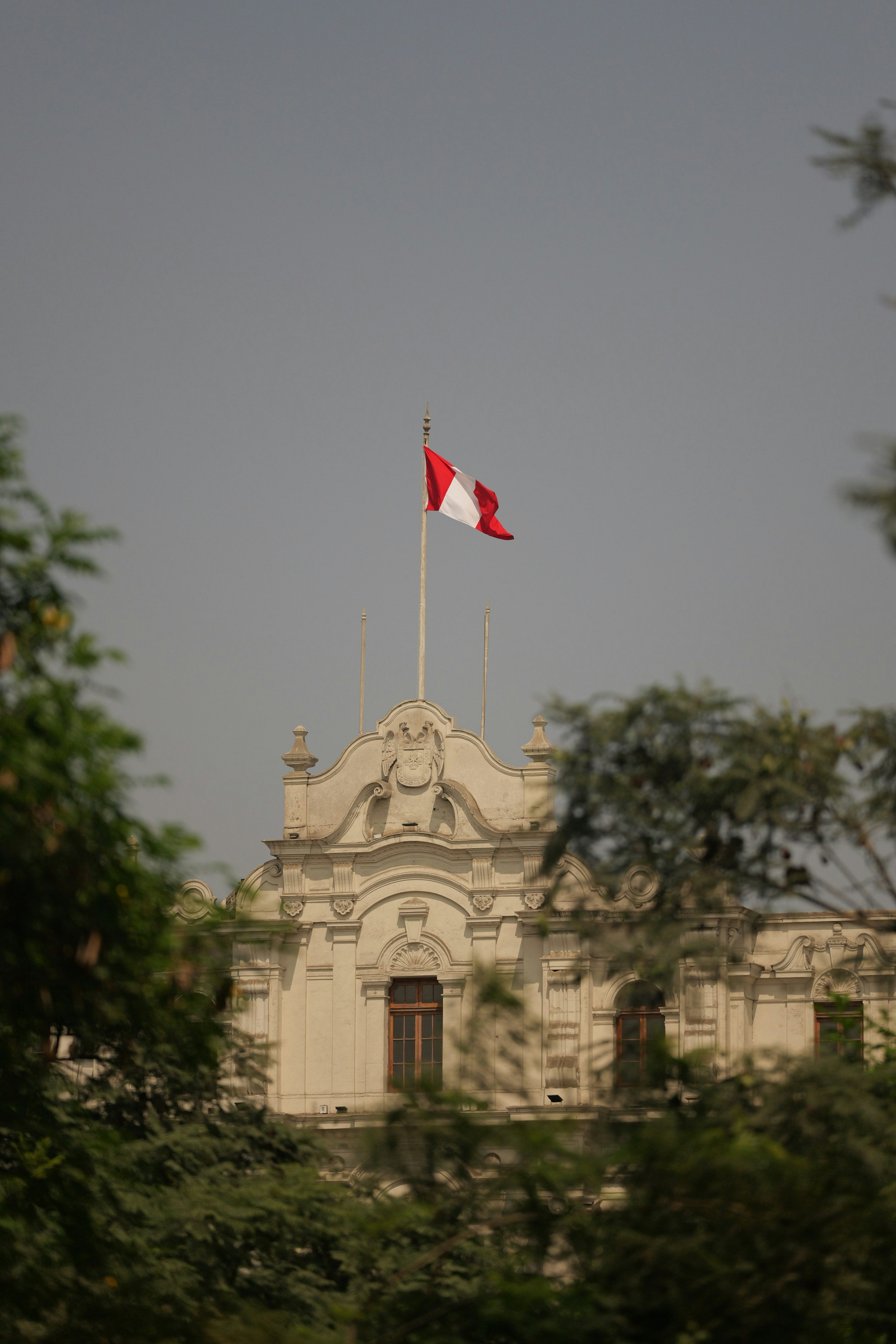 Flag atop a classical façade framed by greenery