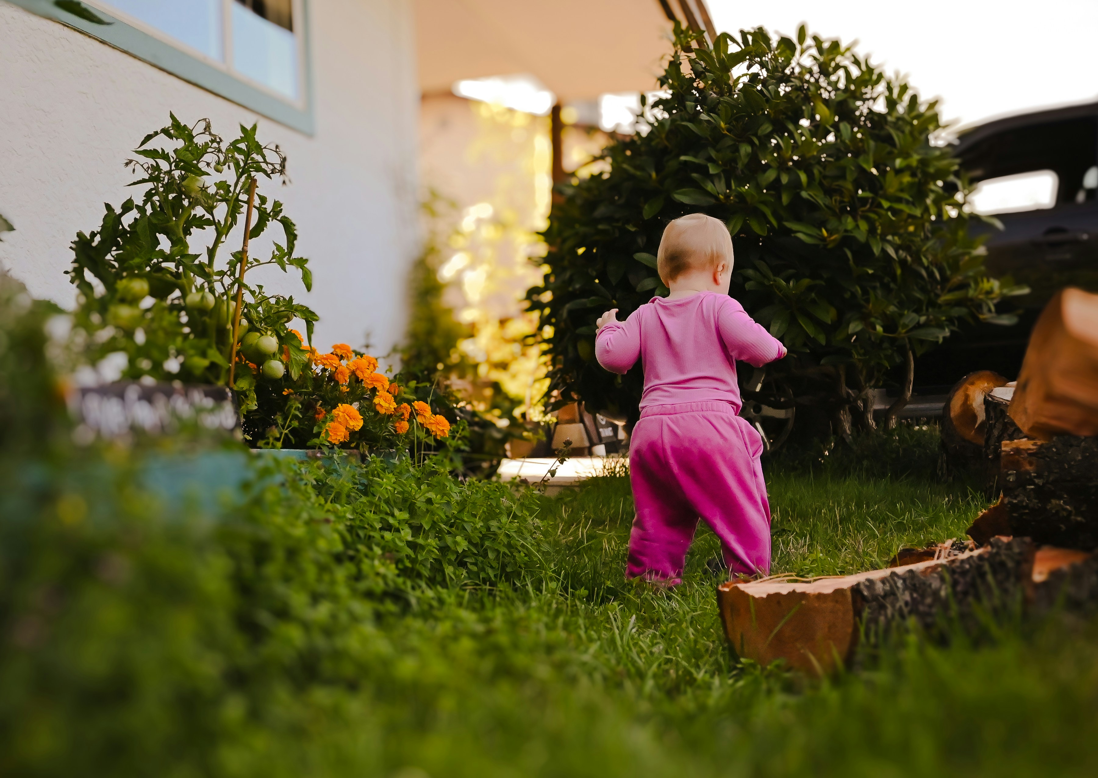 Tiny Explorer in a Sunny Backyard Garden