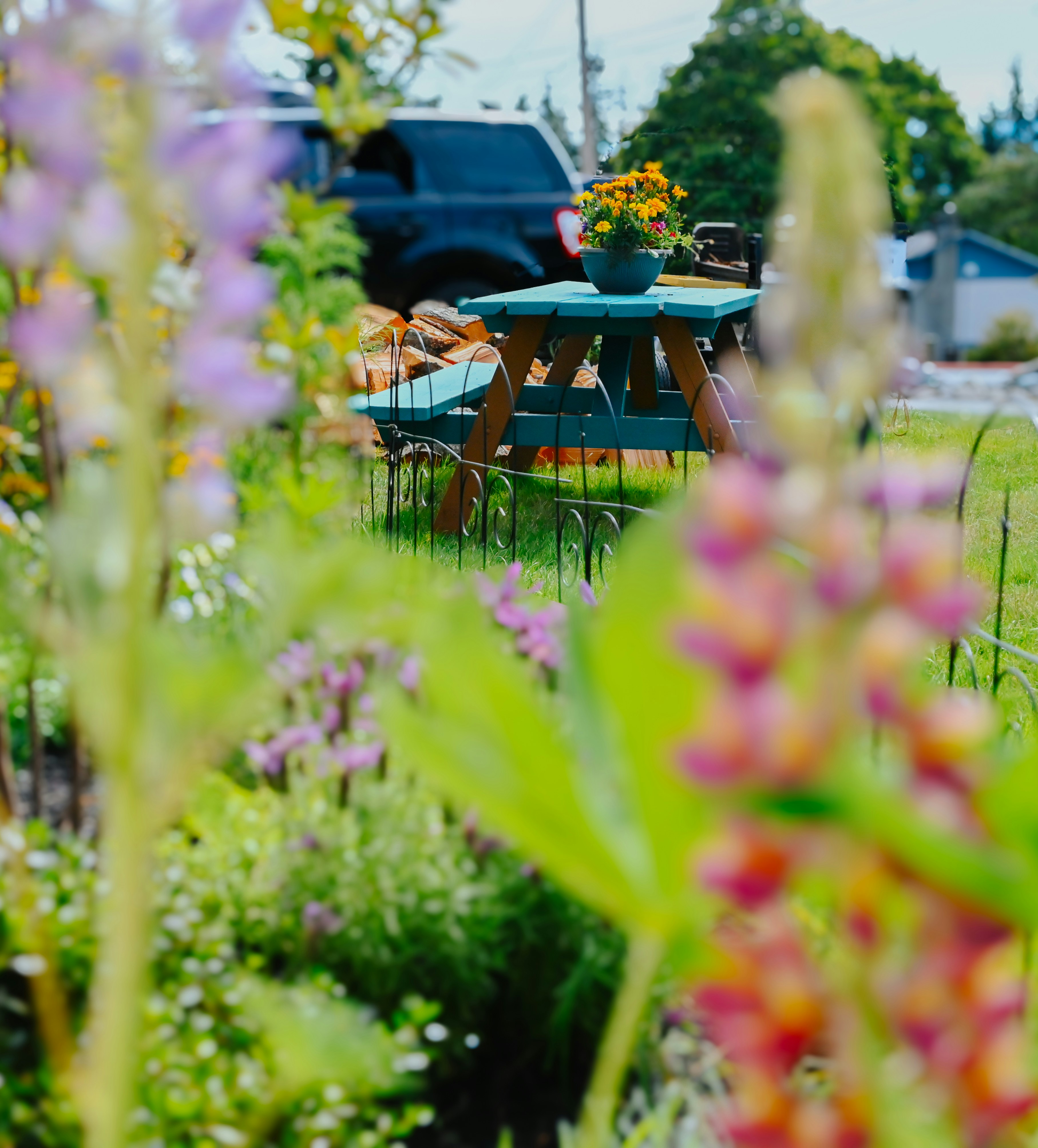 A Quiet Picnic Corner: Sunlit Table, Blooms, and a Garden Foreground