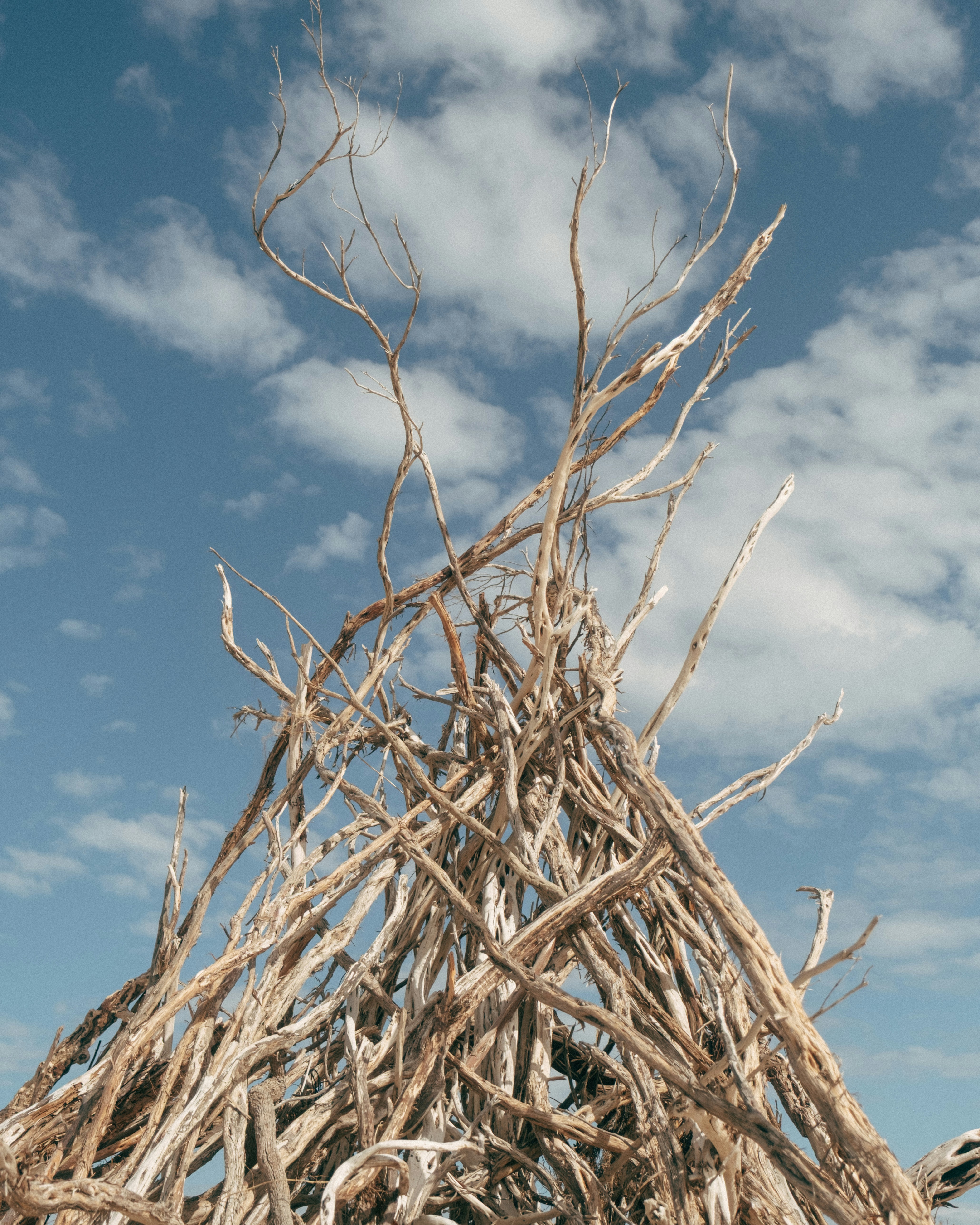 Driftwood Constellation: A Tower of Weathered Branches Against a Clear Sky
