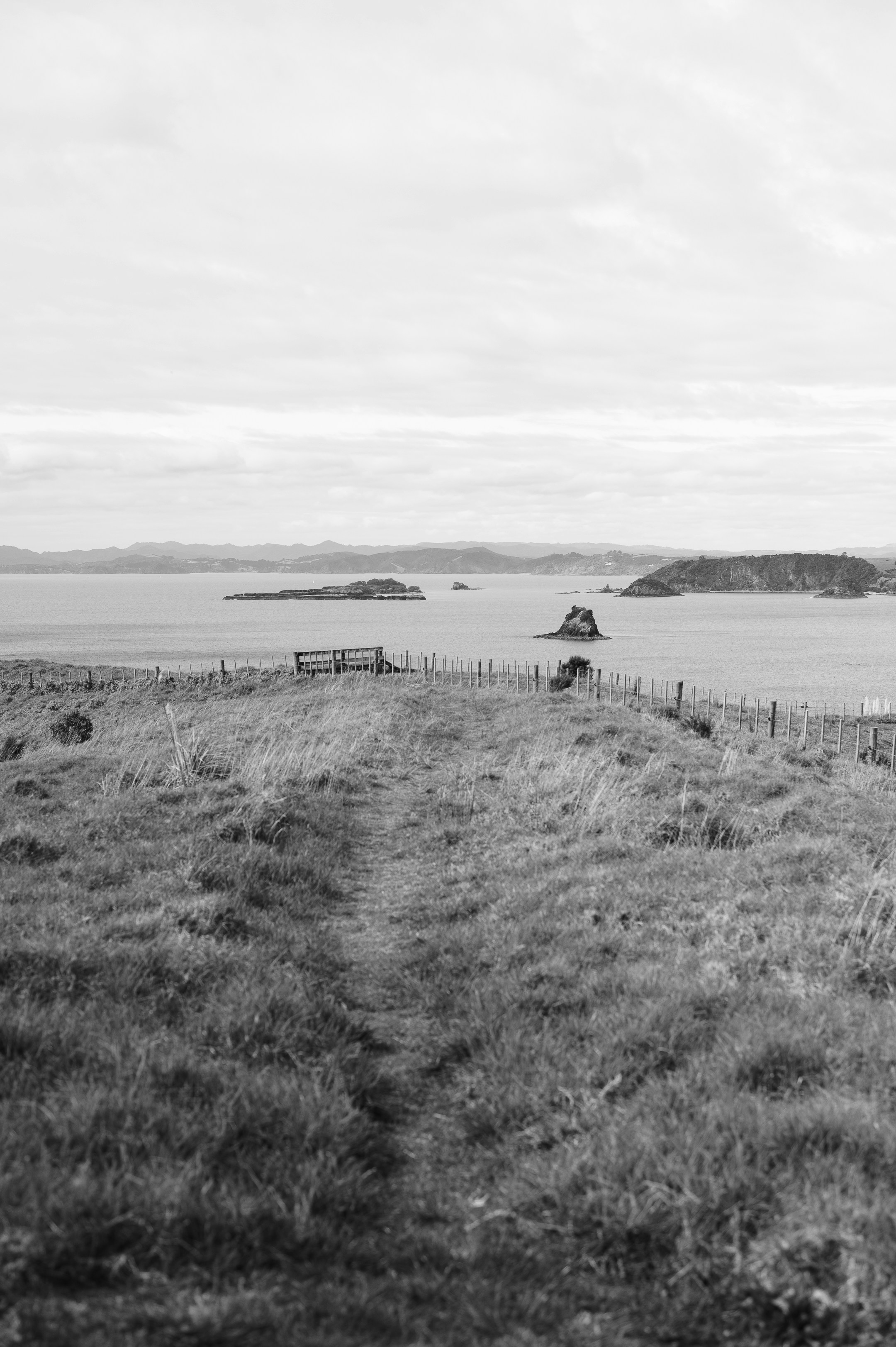 Path to the Sea: A Quiet Dune Trail toward Island Horizons