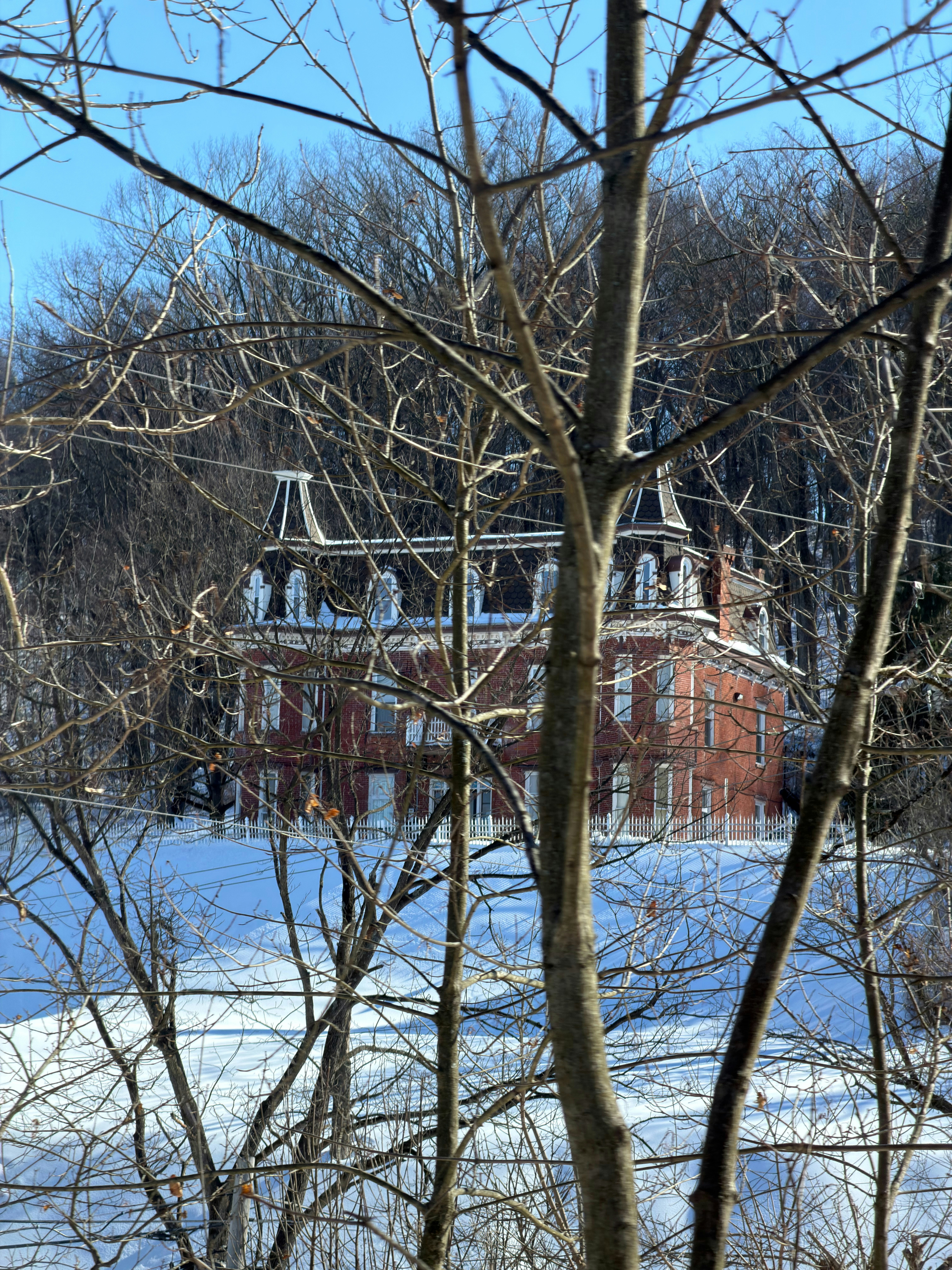Brick House Rising Through Winter Branches