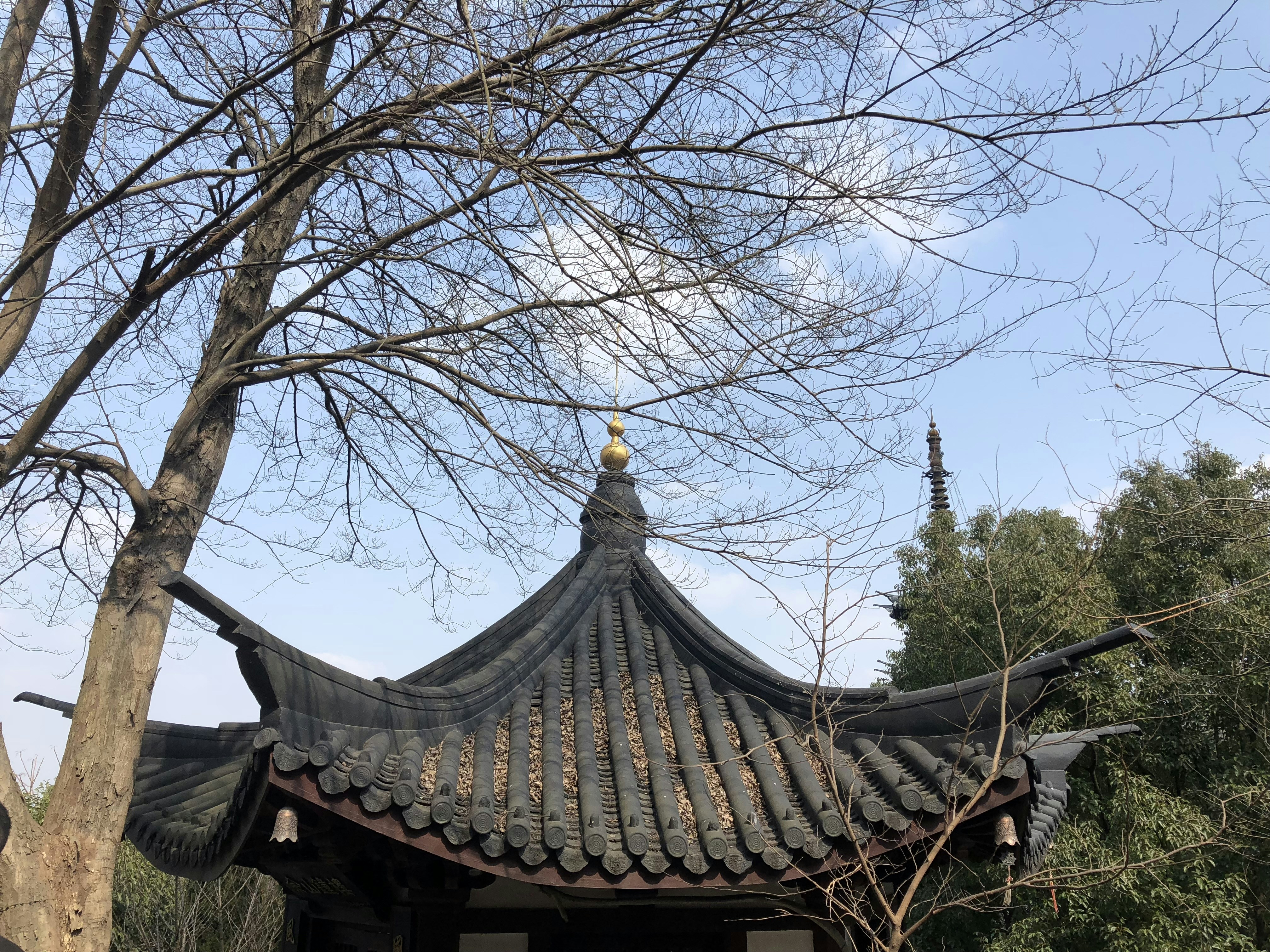 Curved Roof Echo: A Traditional Pagoda Corner under Winter Sky