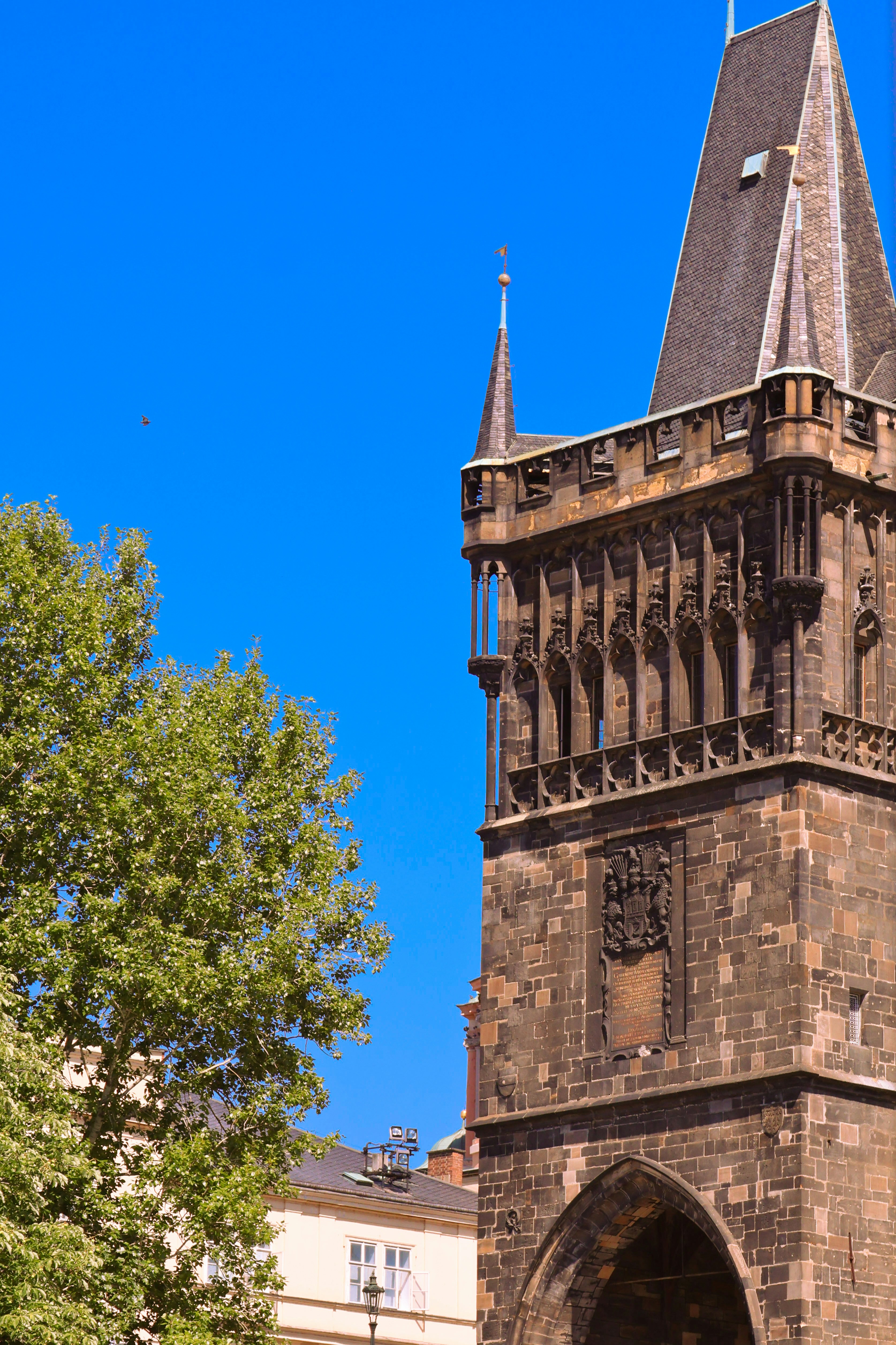 Gothic Clocktower Reaching Toward a Cerulean Sky