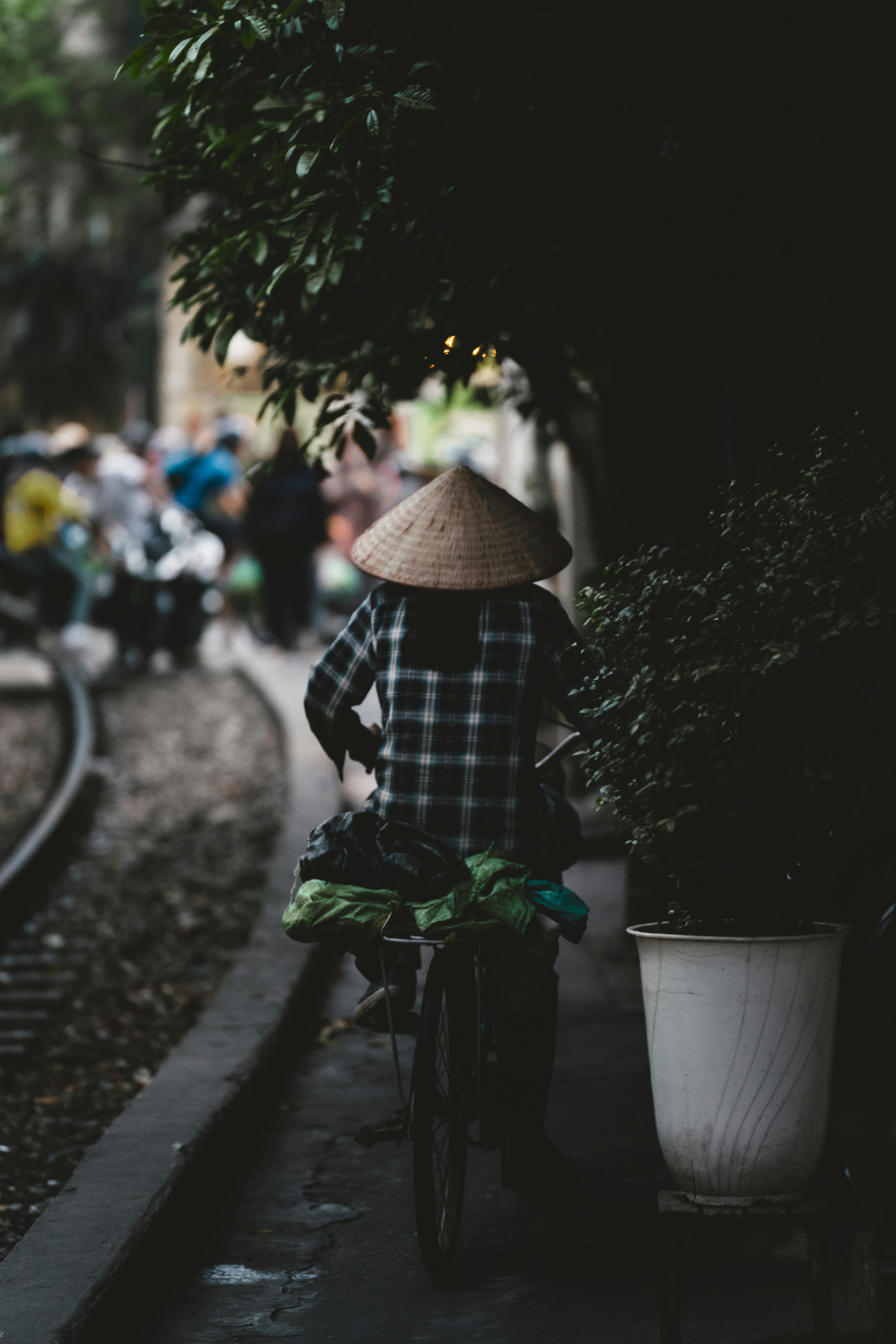 Pedaled Quiet: A Journeyman Bicyclist in a Lantern-lit Alley