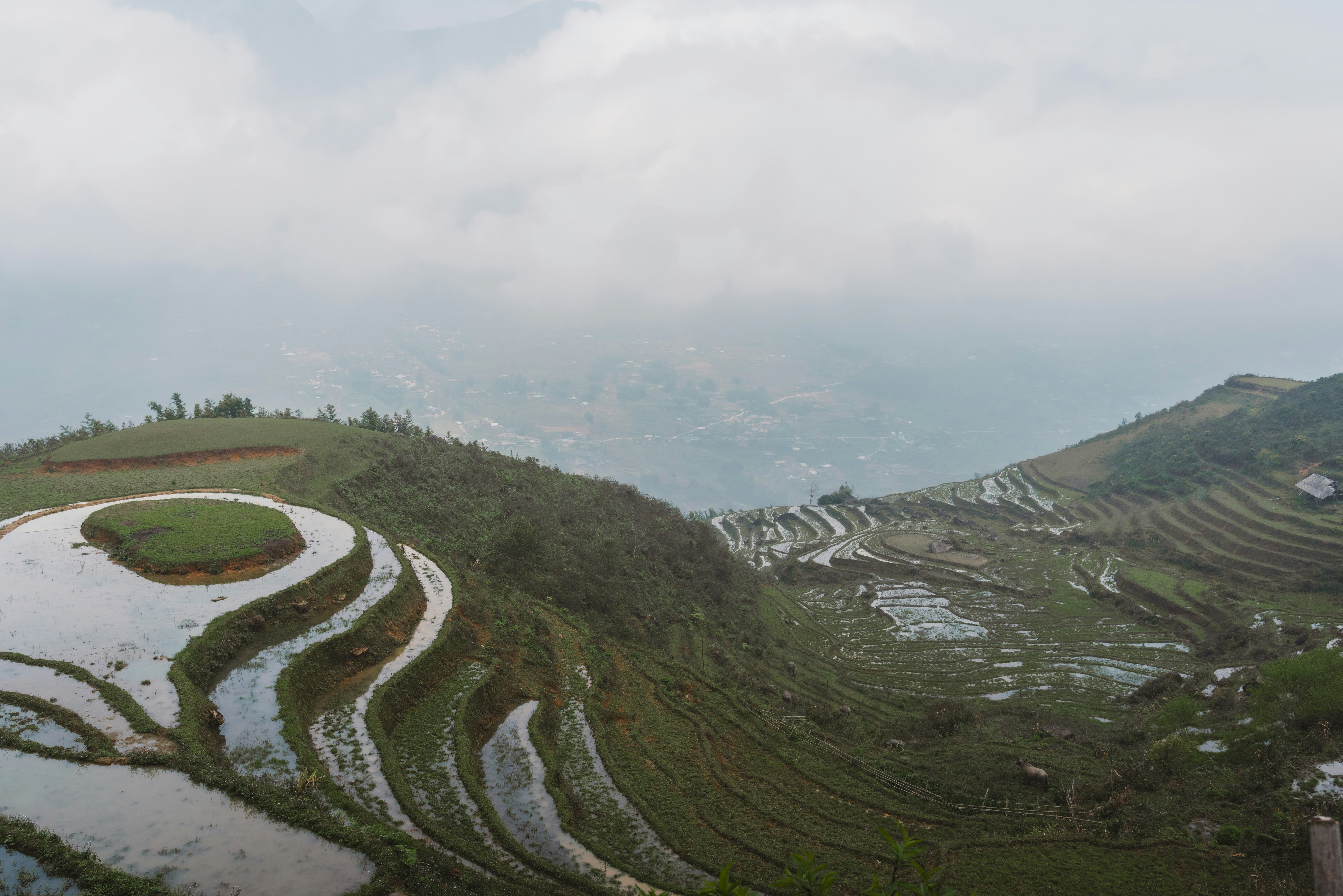 Terraced Hillside Under a Misty Horizon