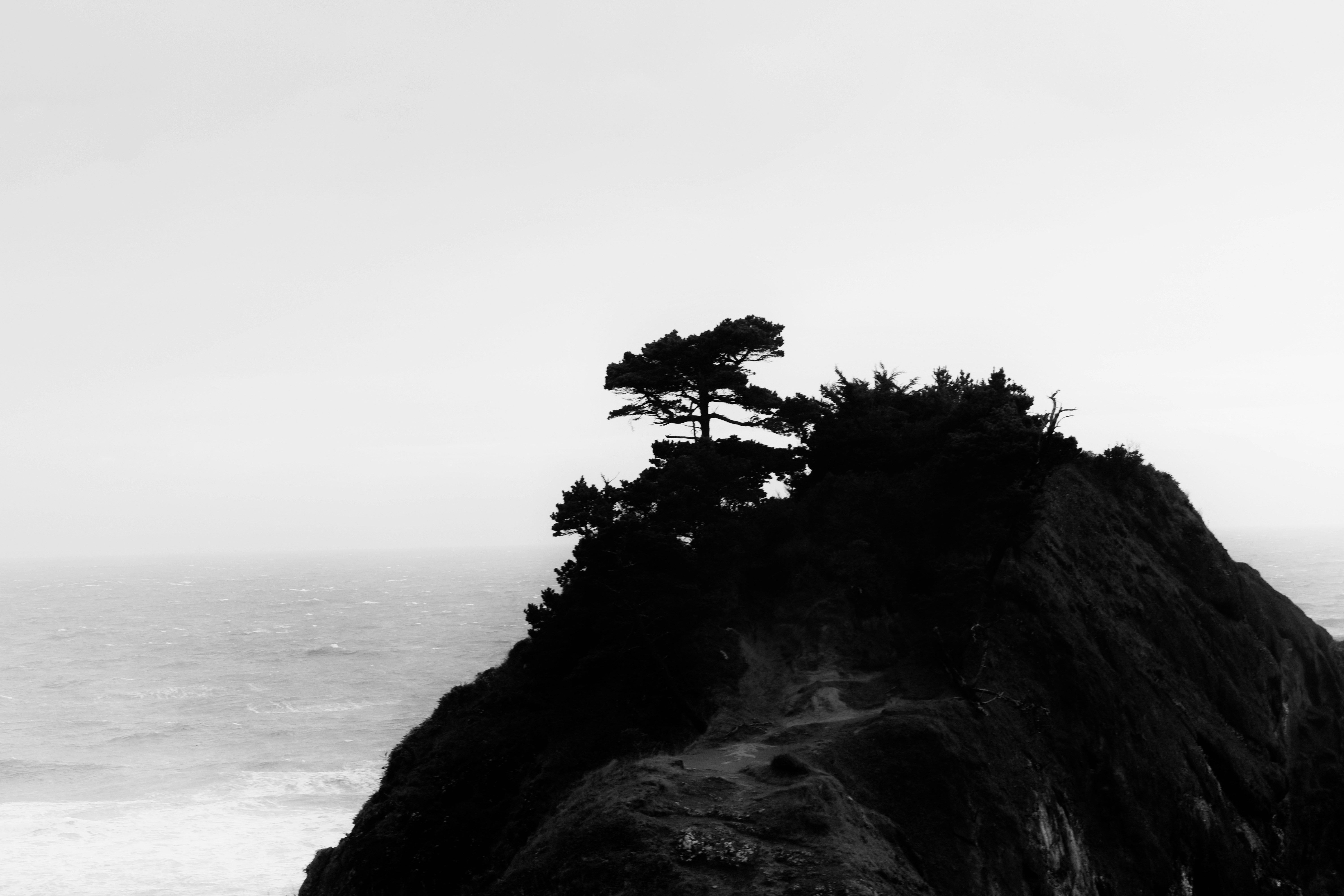 Lonely Sentinel on the Cliff: A Black-and-White Coastal Outcrop