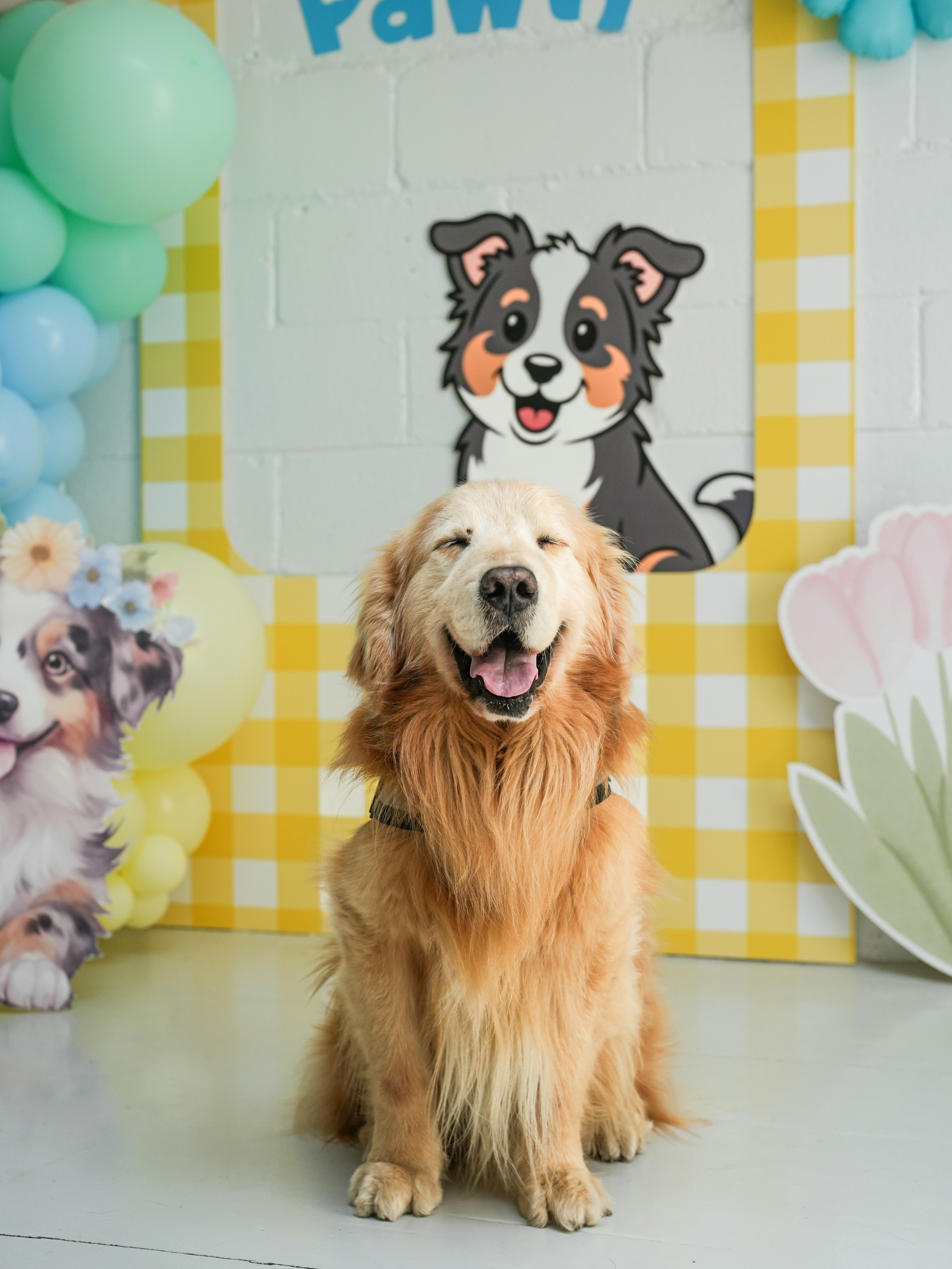 Golden Hound at the Pet Parade Backdrop