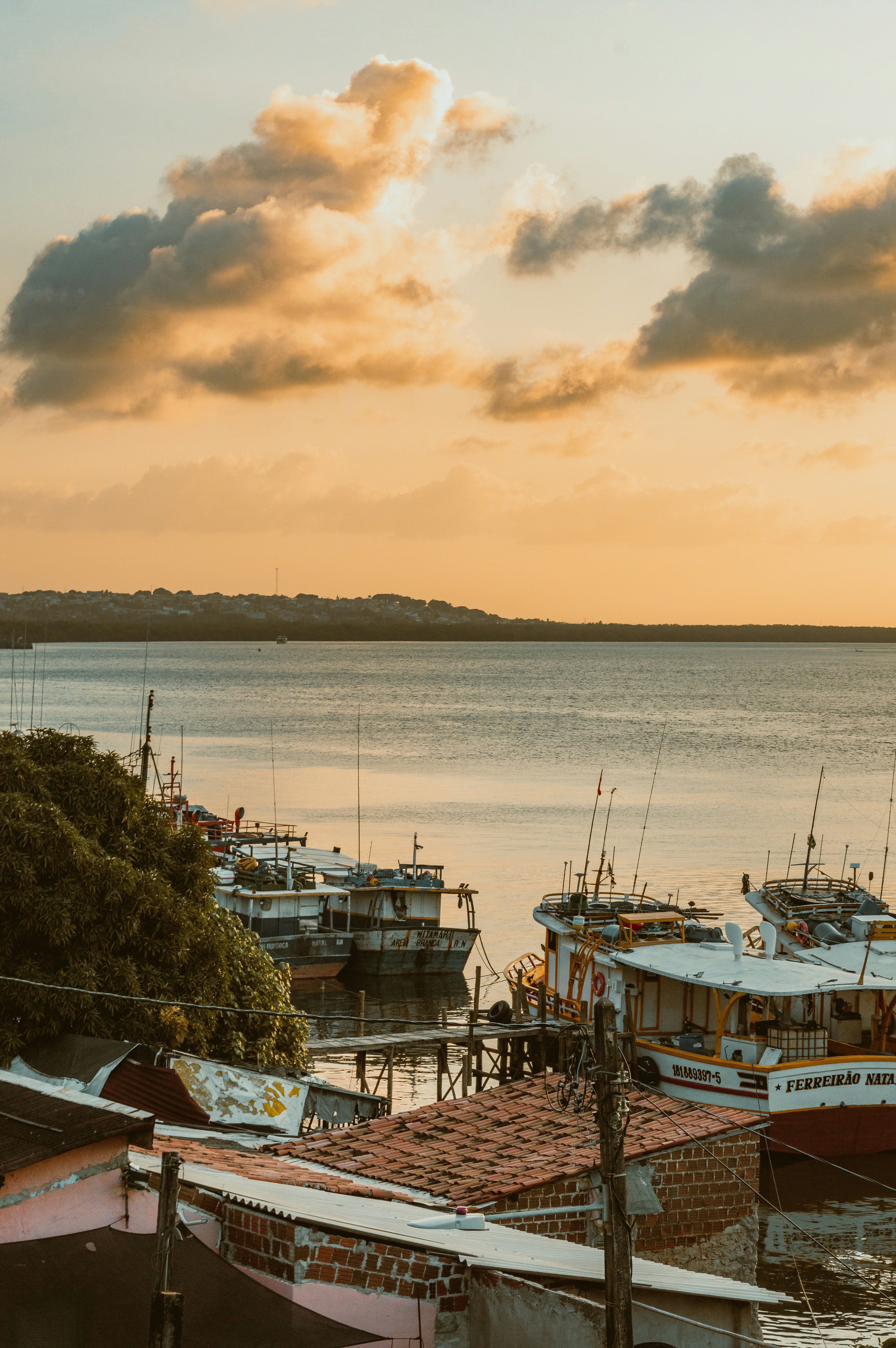 Sunset Harbor Boats Dappled by Golden Light