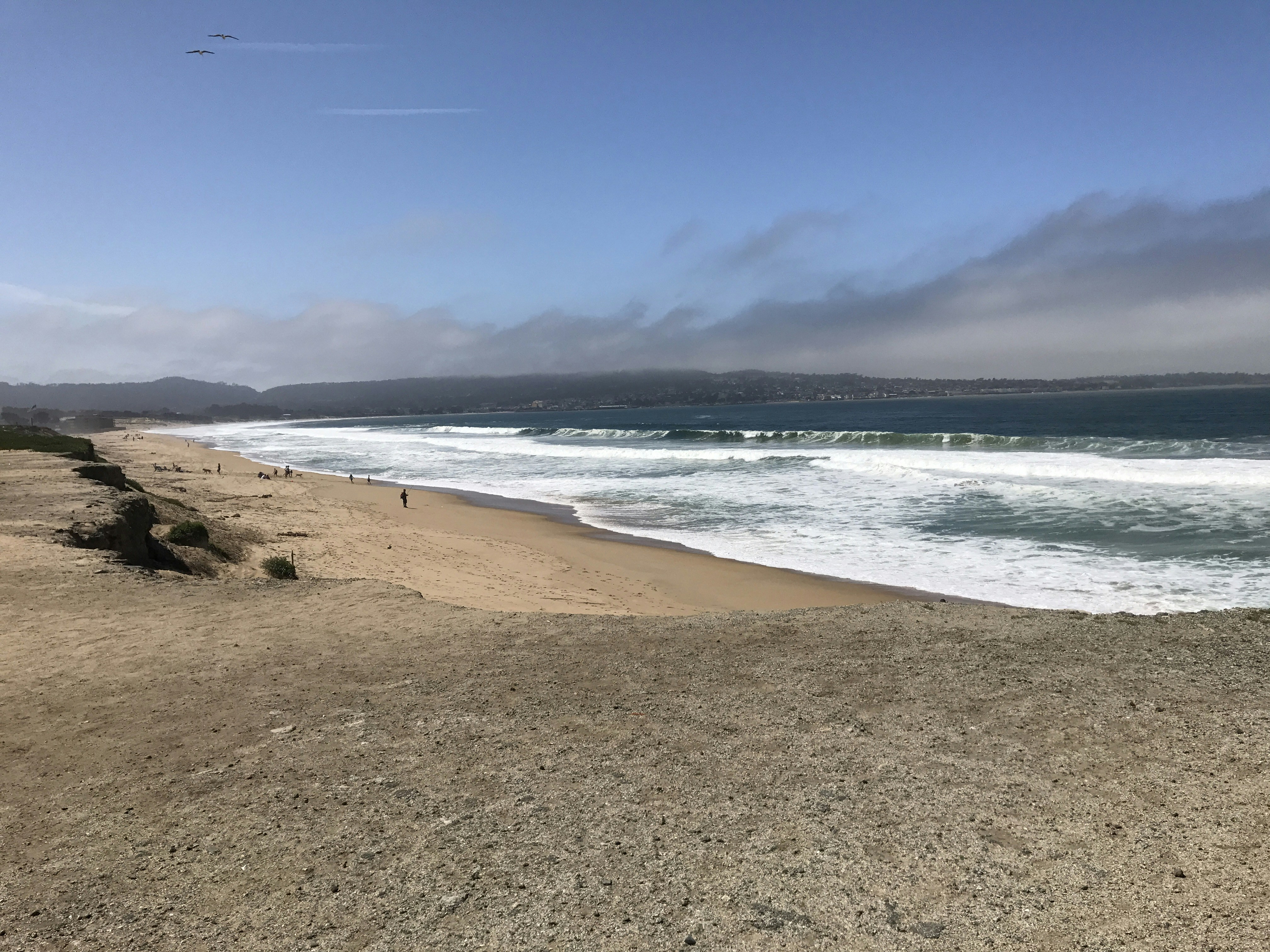 Wind-swept shoreline under a crisp coastal sky