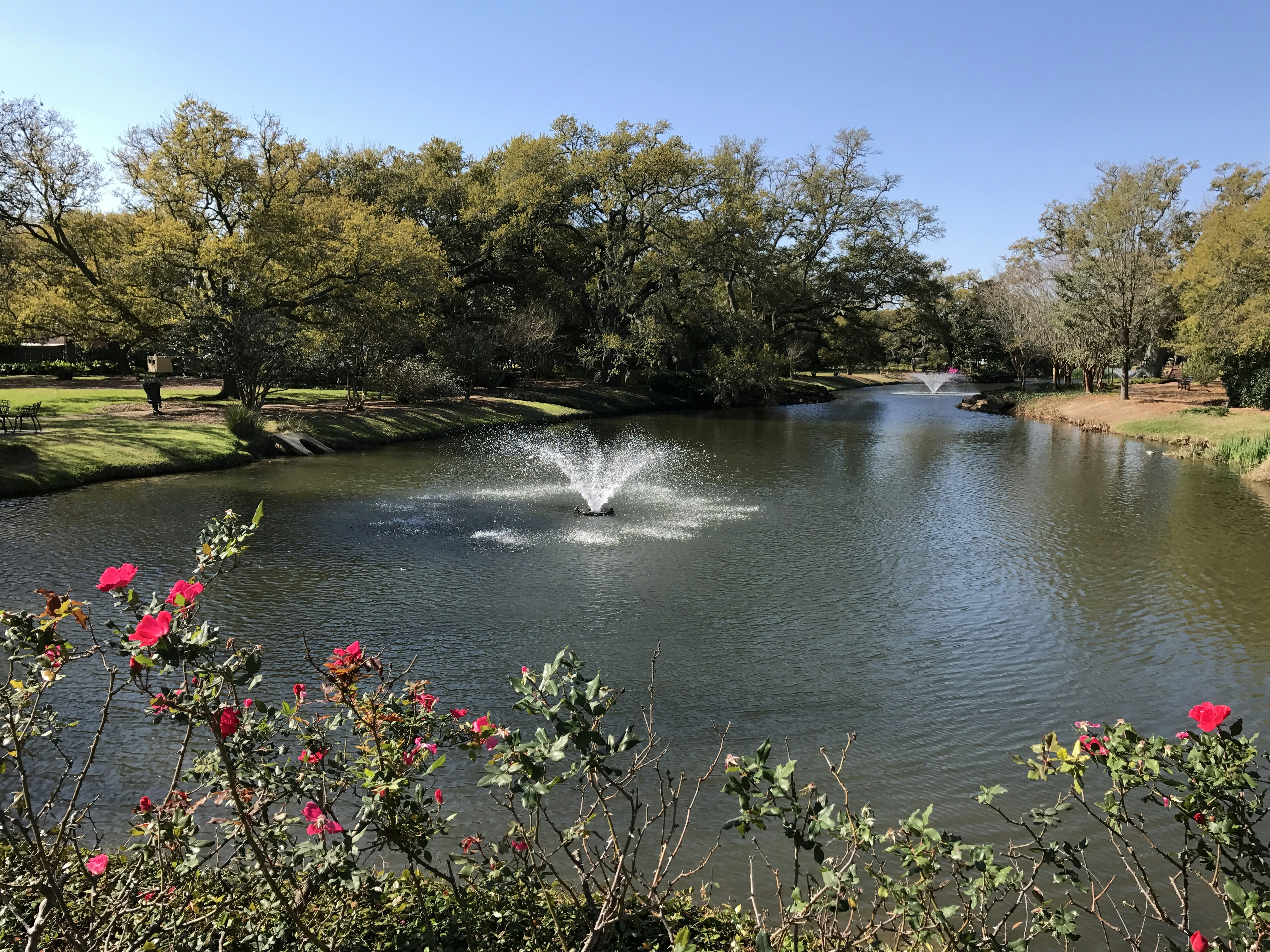 Sunlit Pond with Fountain and Flowering Foreground