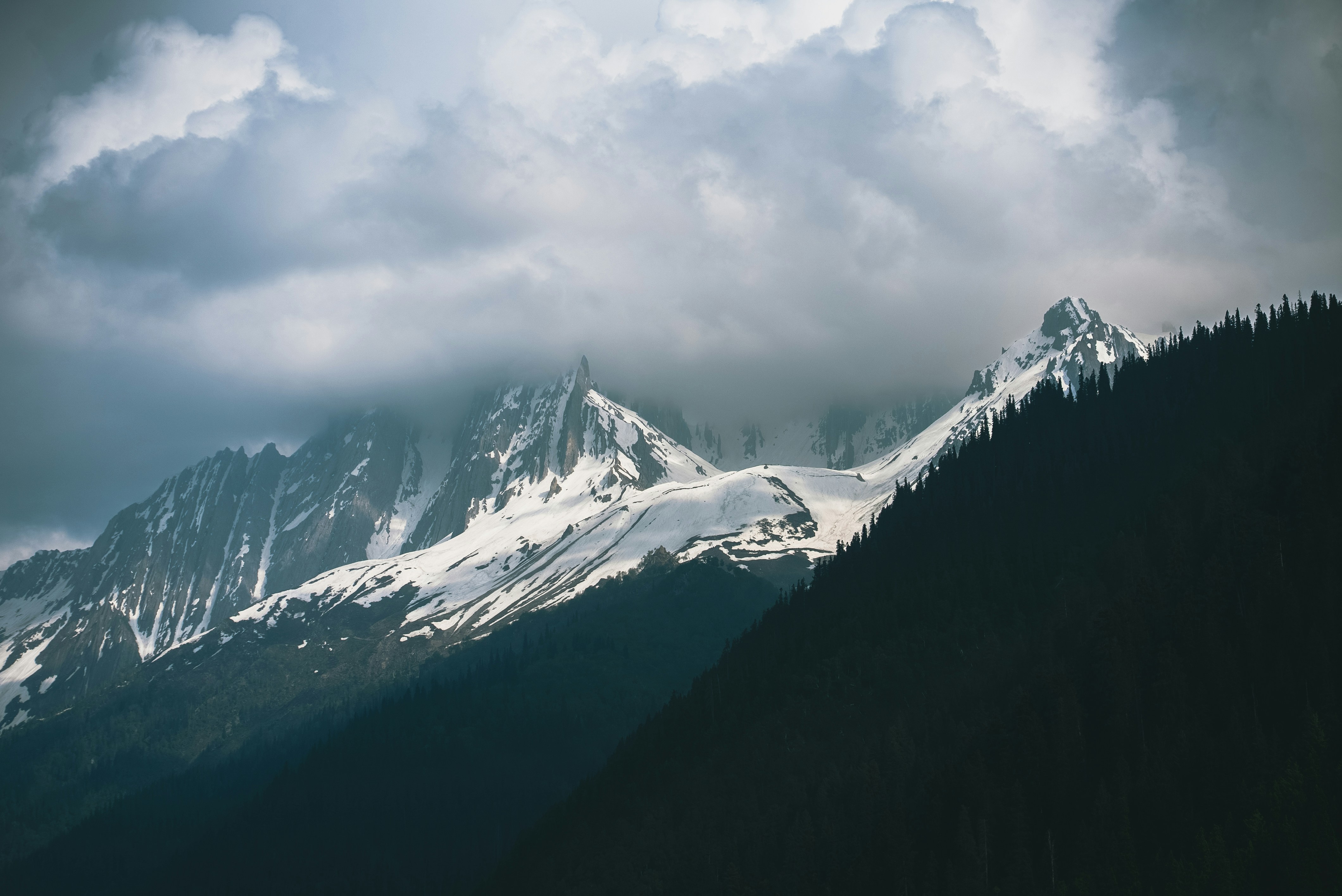 Snowy mountain ridge emerges from dark forest under moody clouds, carving a sharp diagonal across the frame.