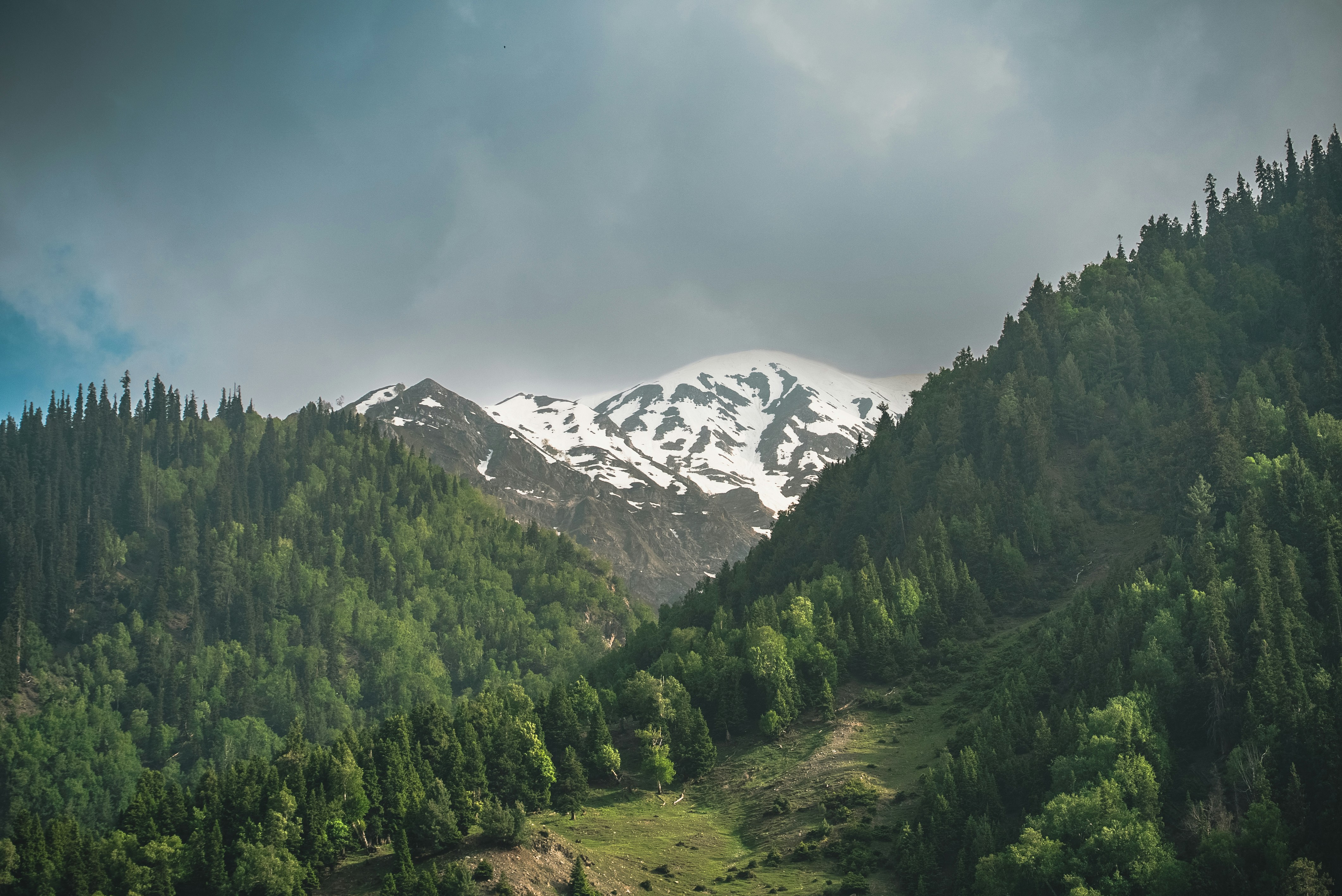 Snow-kissed mountain peak rising beyond green forested slopes, bathed in soft daylight with dramatic clouds overhead; landscape captures depth and scale without human elements.