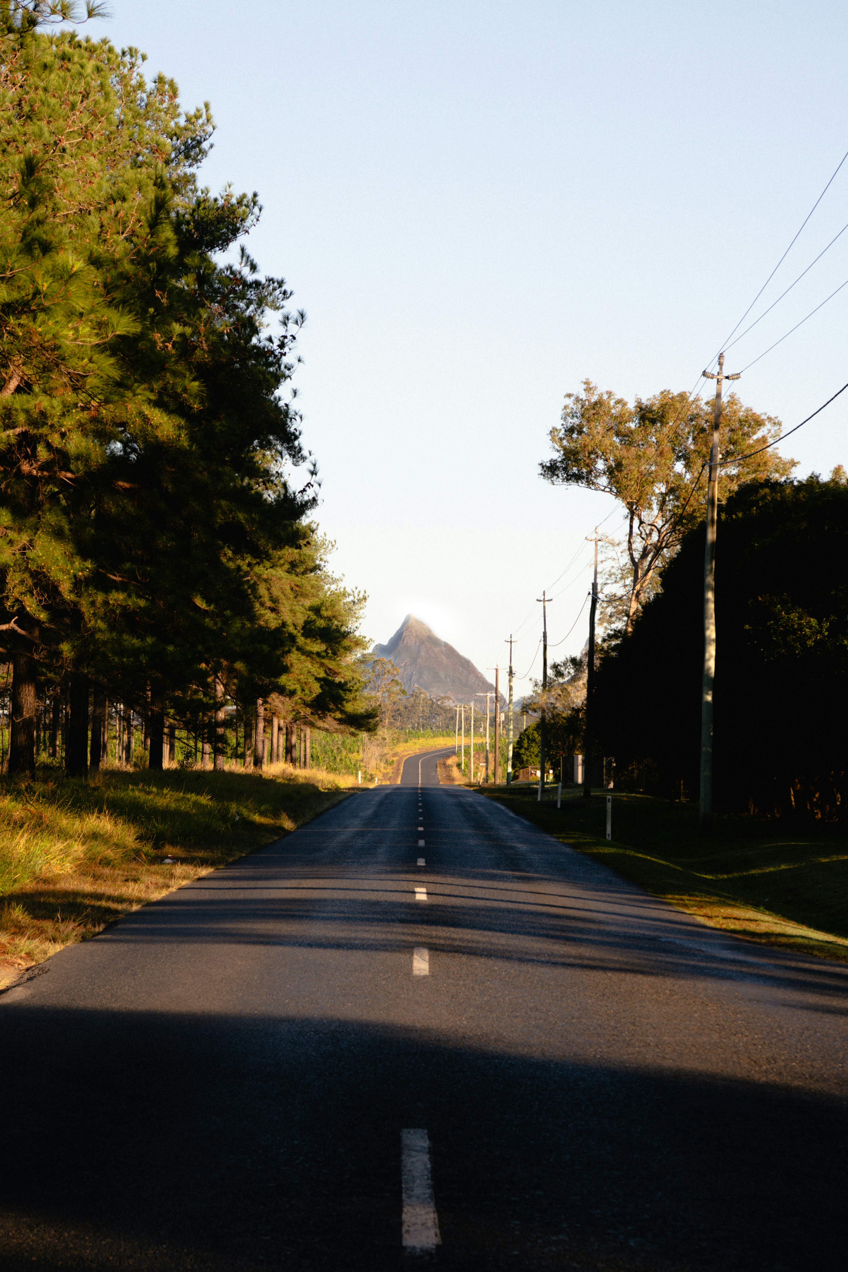 Long Road to the Peak: Sunlit Horizon and Quiet Pines