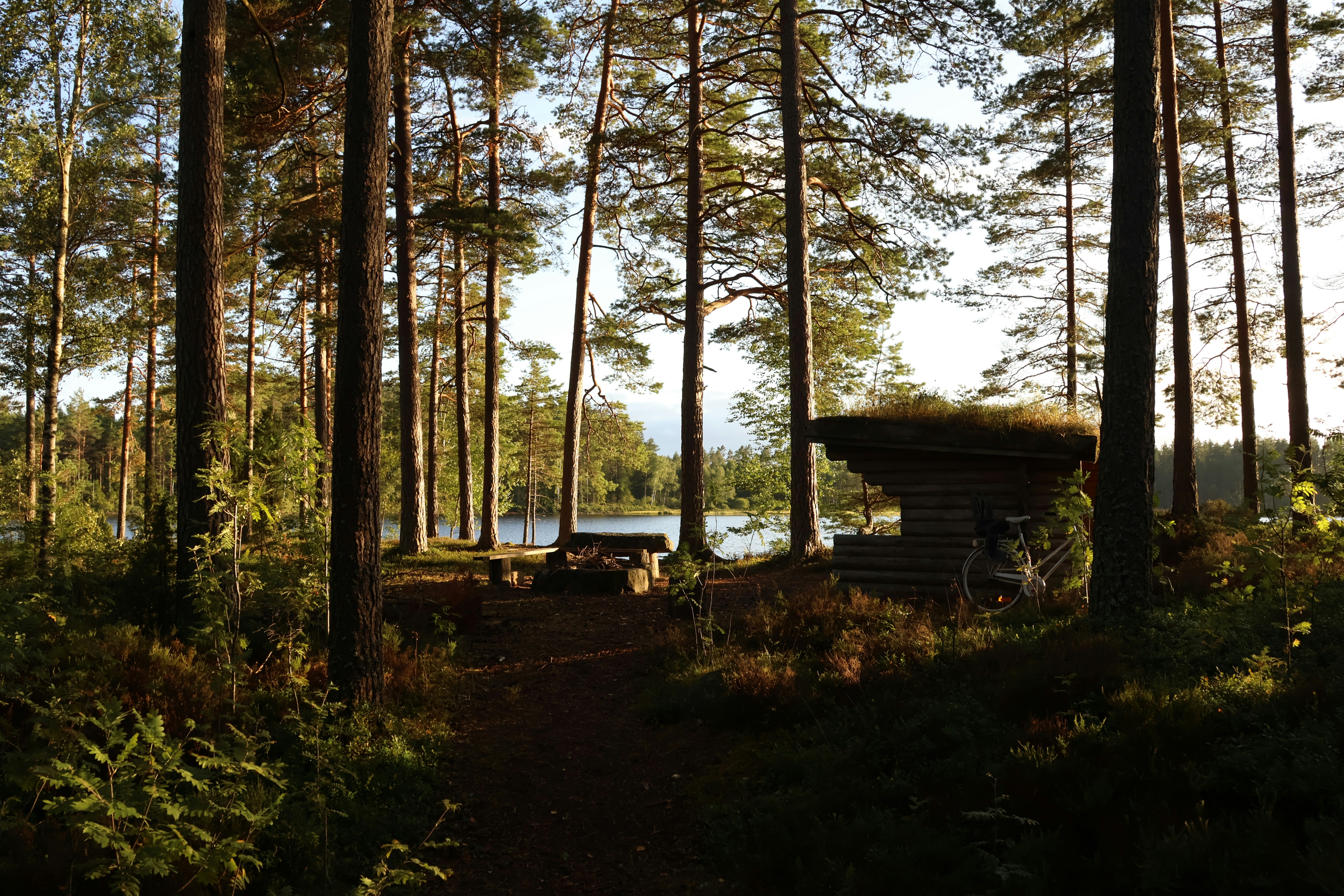 Quiet Lakeside Clearing with Cabin and Bike