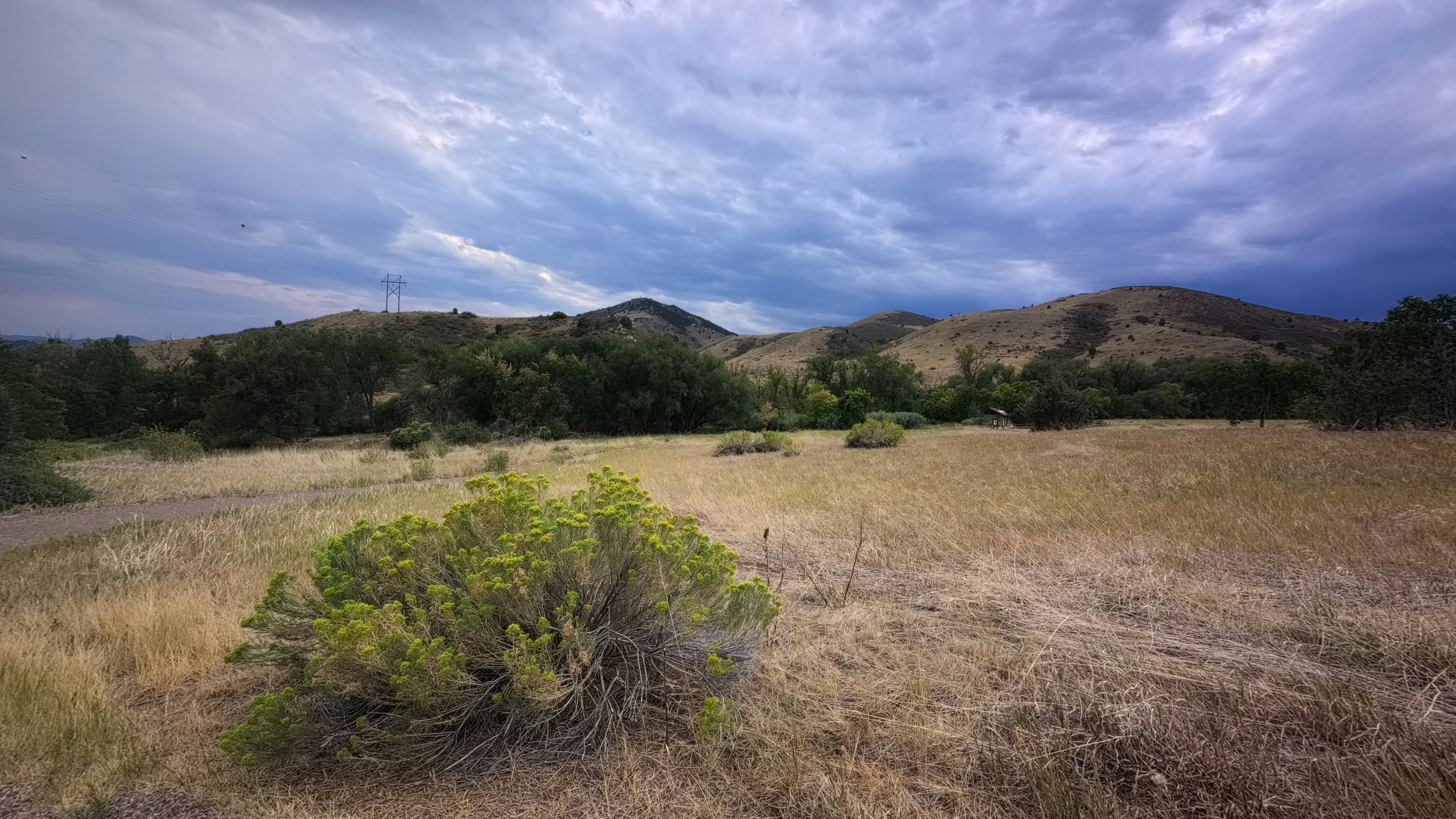 Desert Grasslands Beneath a Shifting Sky