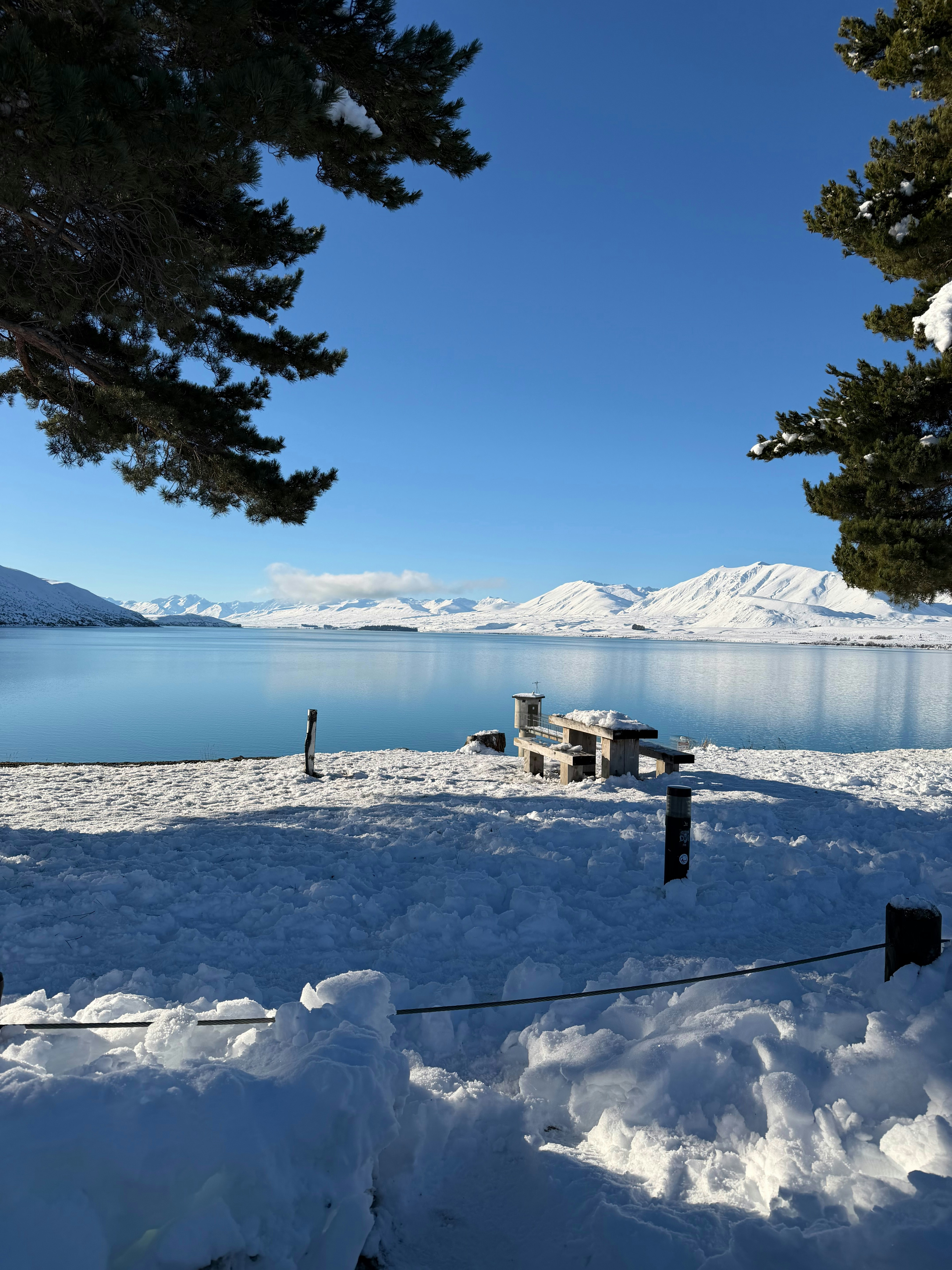 Snowbound Quiet: A Lakefront Bench Beneath Alpine Pines