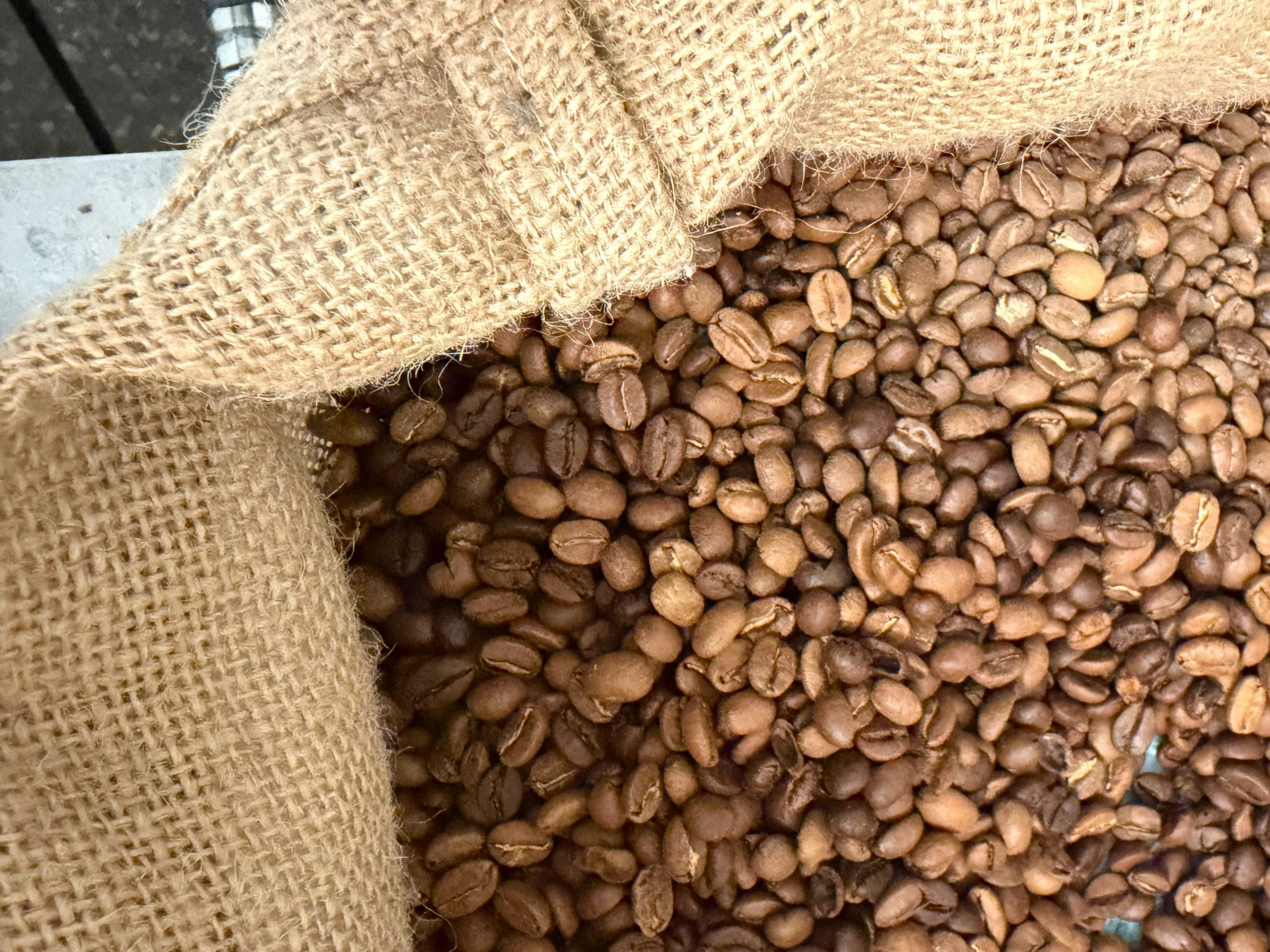 Burlap sift over a sea of roasted beans
