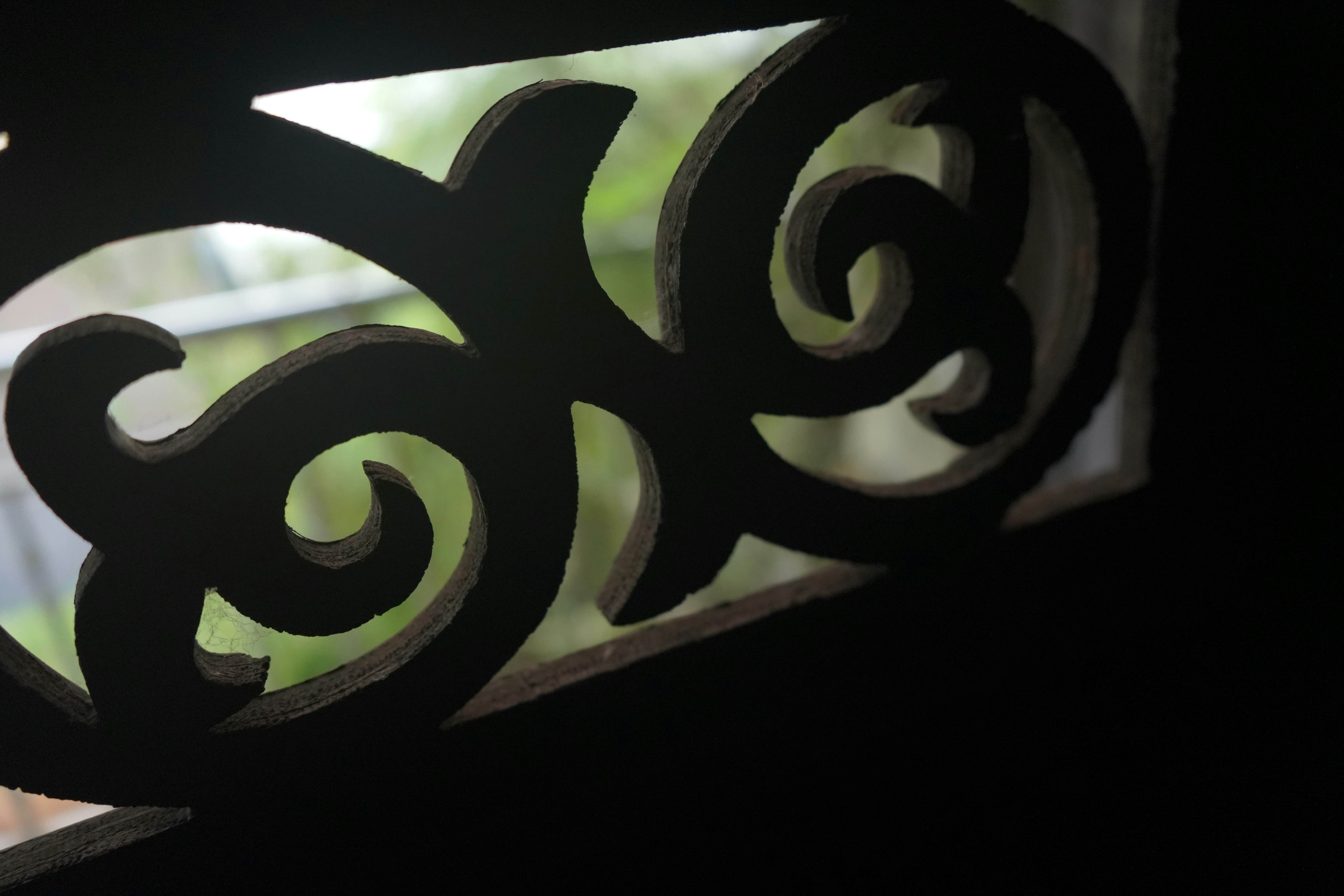 Carved Ironwork Through a Window: Light, Shadow, and Geometry