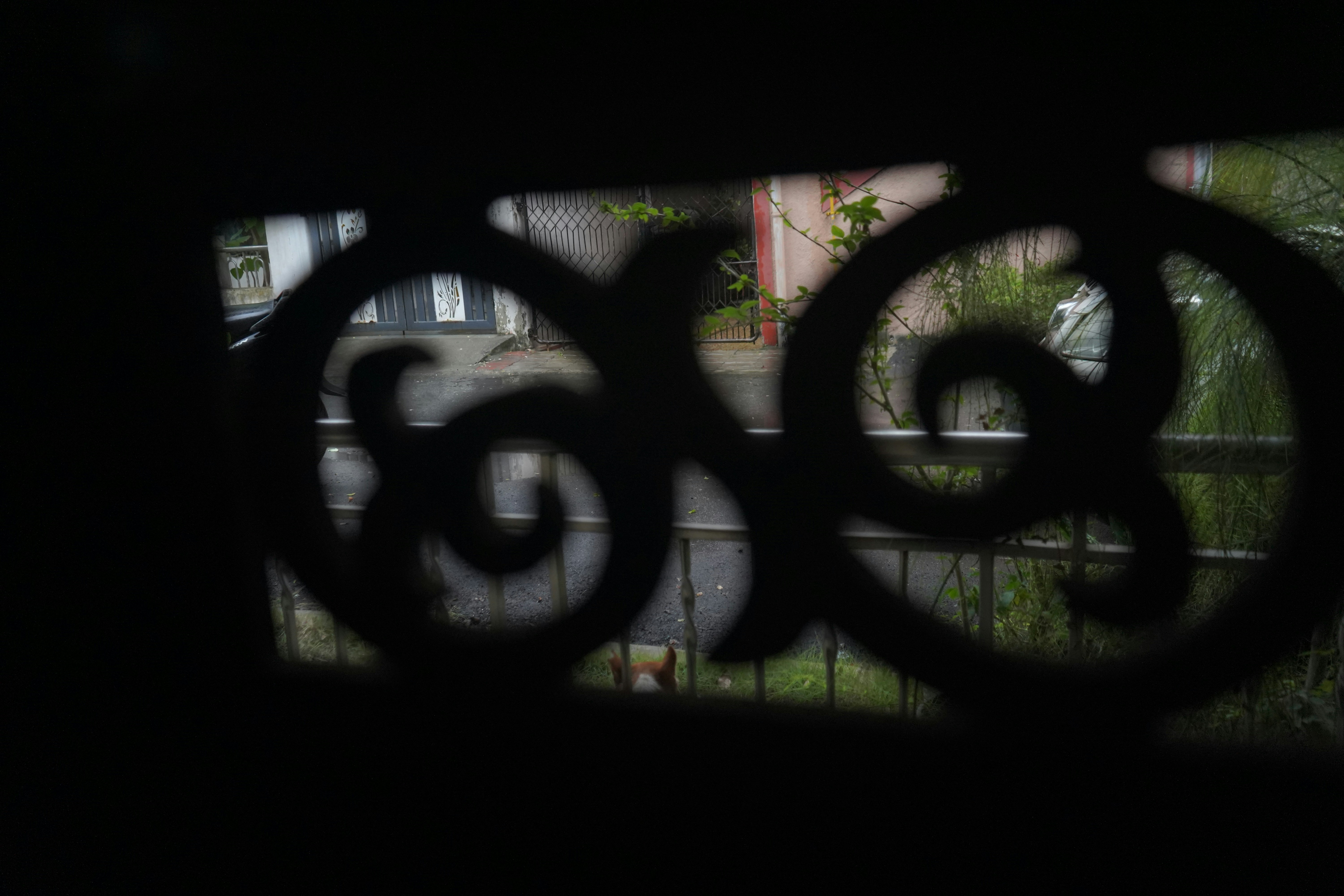 Hidden View Behind Ironwork: A Quiet Street Scene Through Ornamented Bars