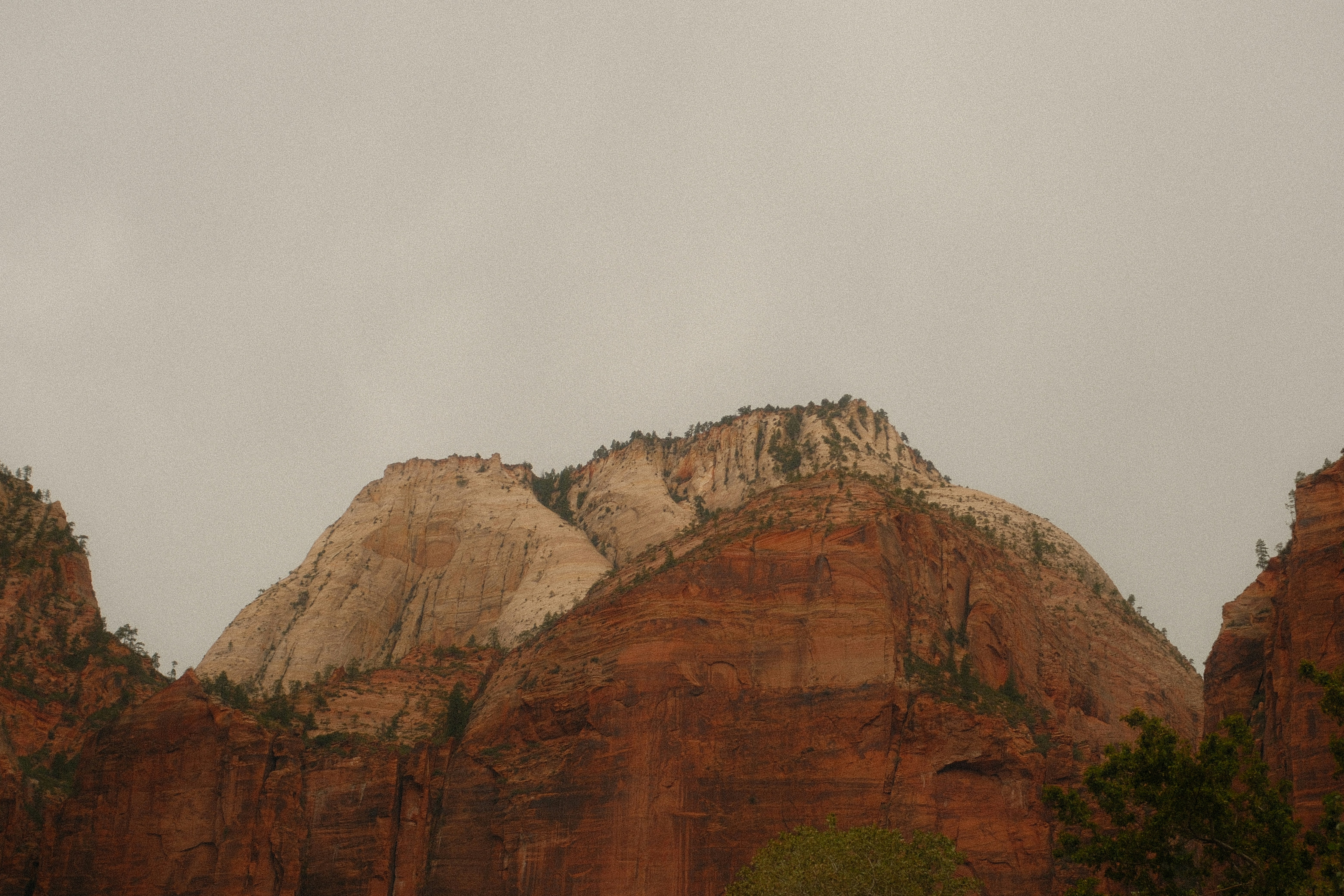 Sedimentary rock formations rise above desert scrub, with soft overcast light highlighting the rugged textures and warm tones of the canyon walls.