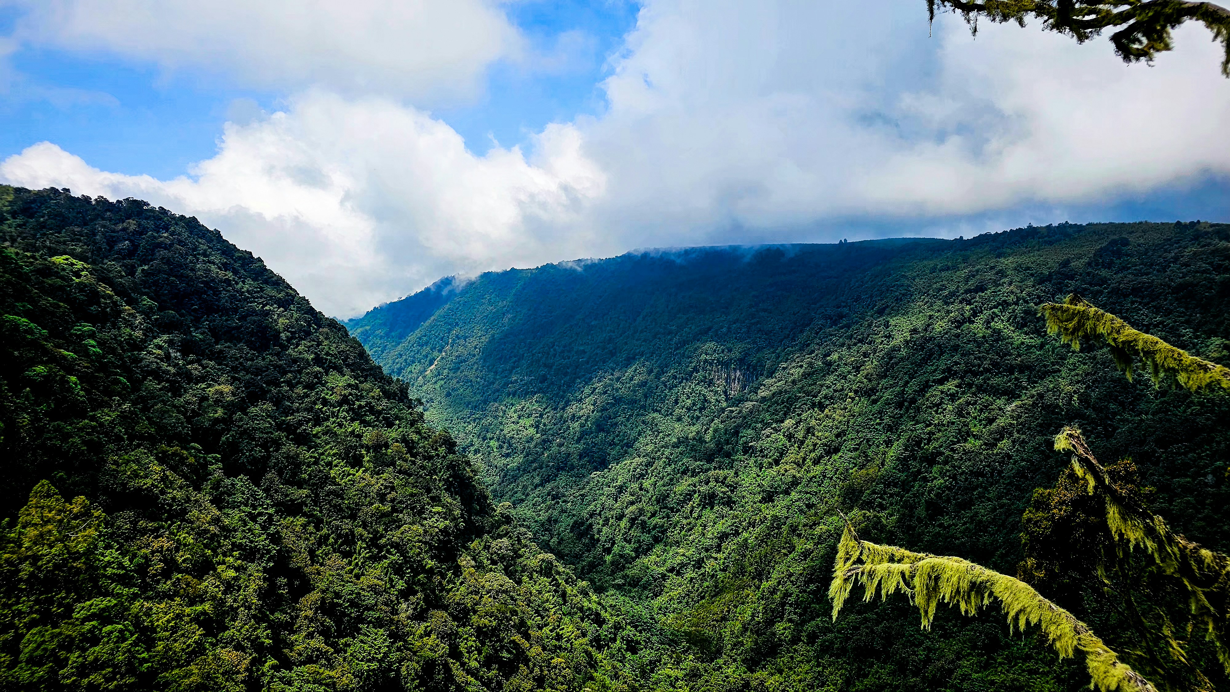 Valley Choir: A Lush Rainbow Between Cloud-Crowned Ridges