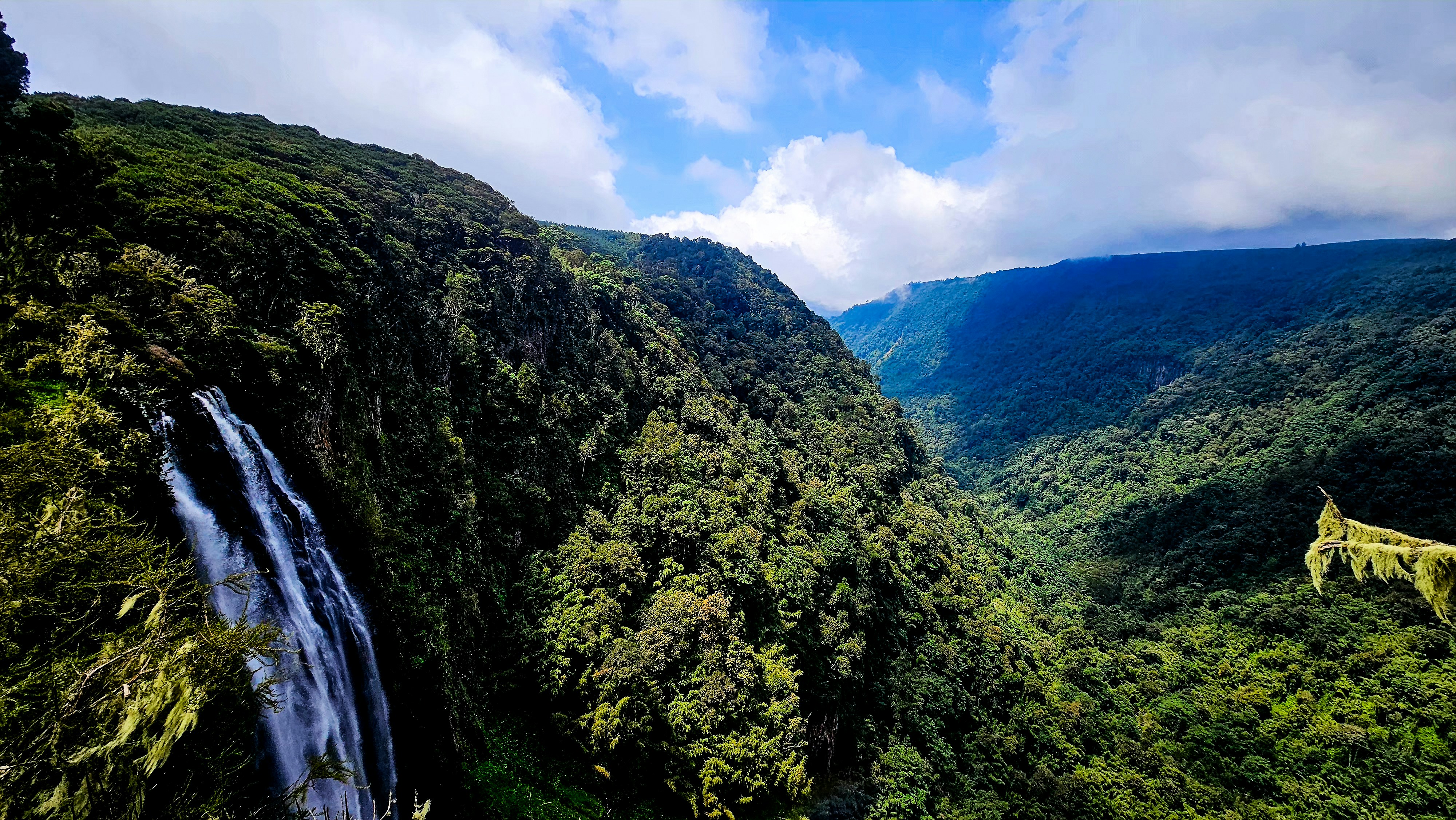 Verdant Canyon Drift: A Double Cascade Beneath an Afro-Blue Sky