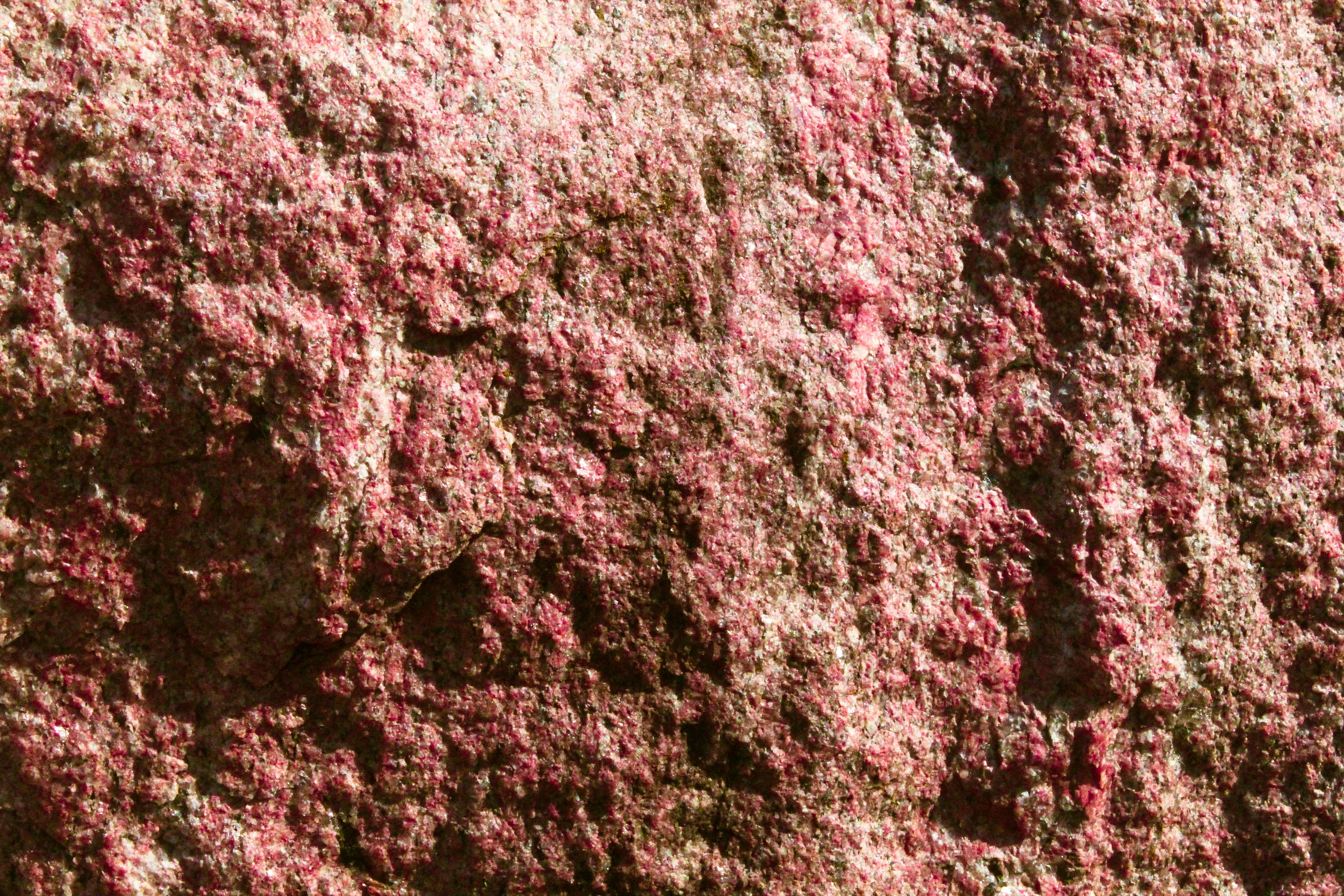 Rosy Cliffs: Textured Bloom in Earth-Tone Light