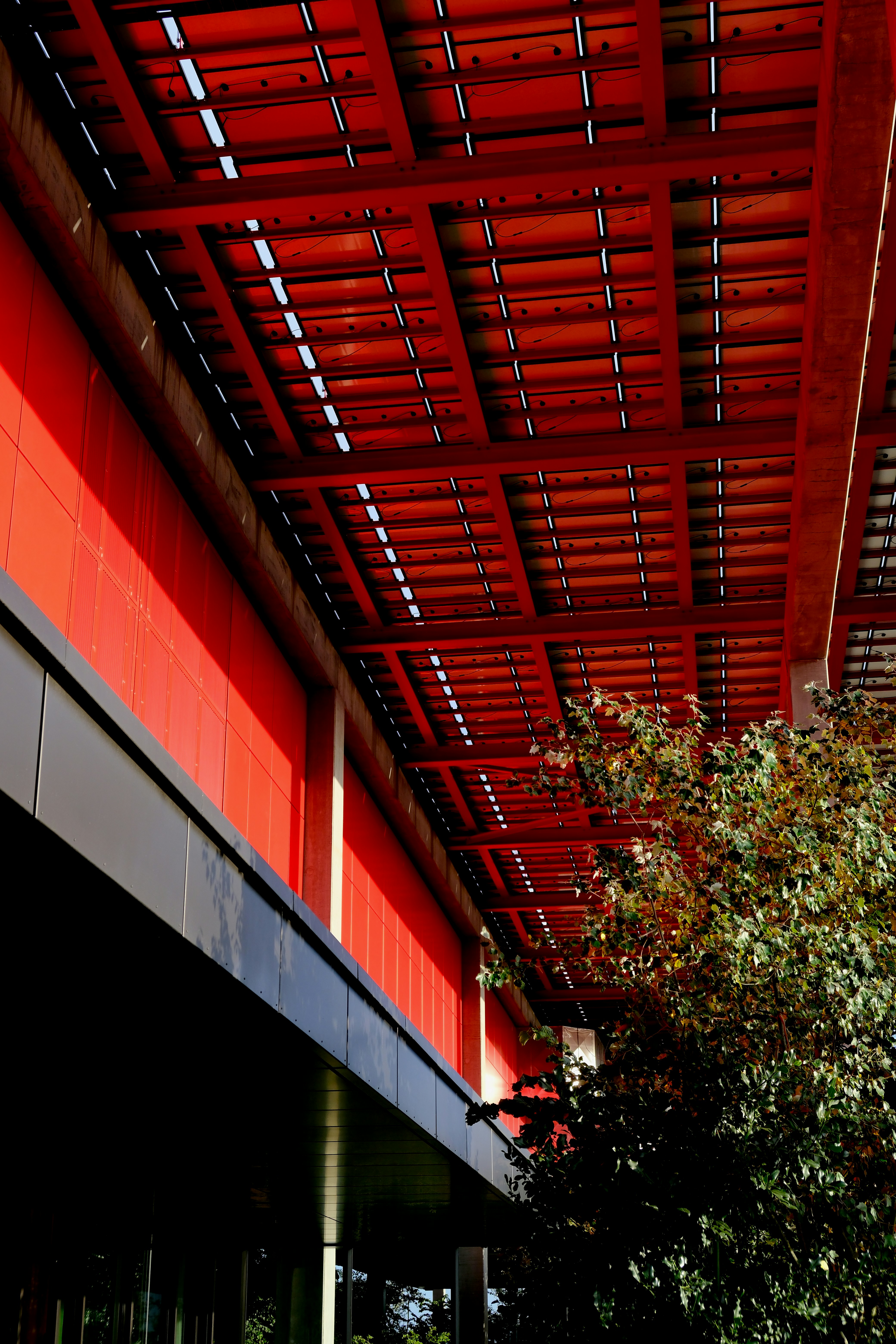 Crimson Overhang: Geometry and Shade Under a Redcanopy