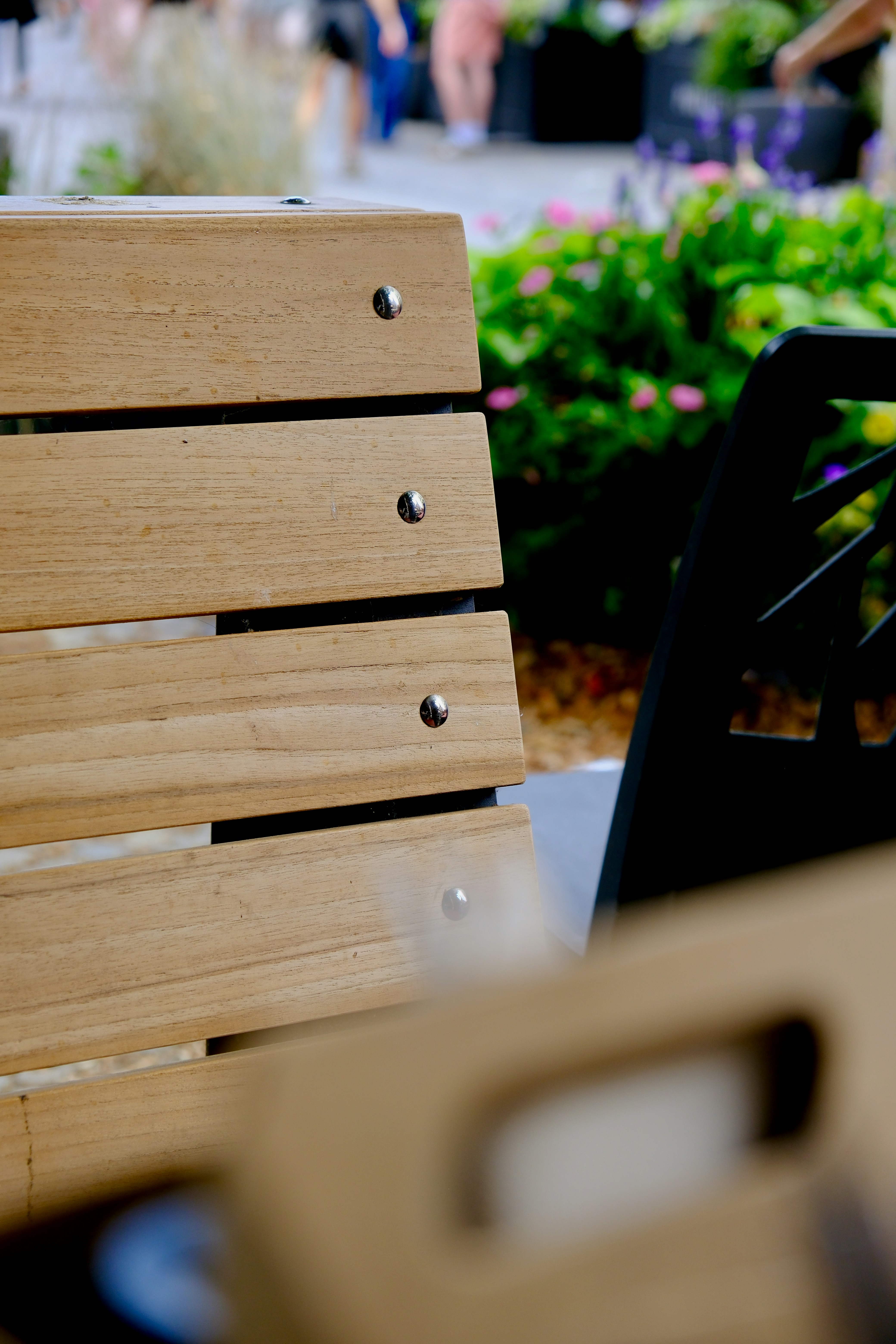 Wooden Bench Symphony: A Quiet Moment in the Park