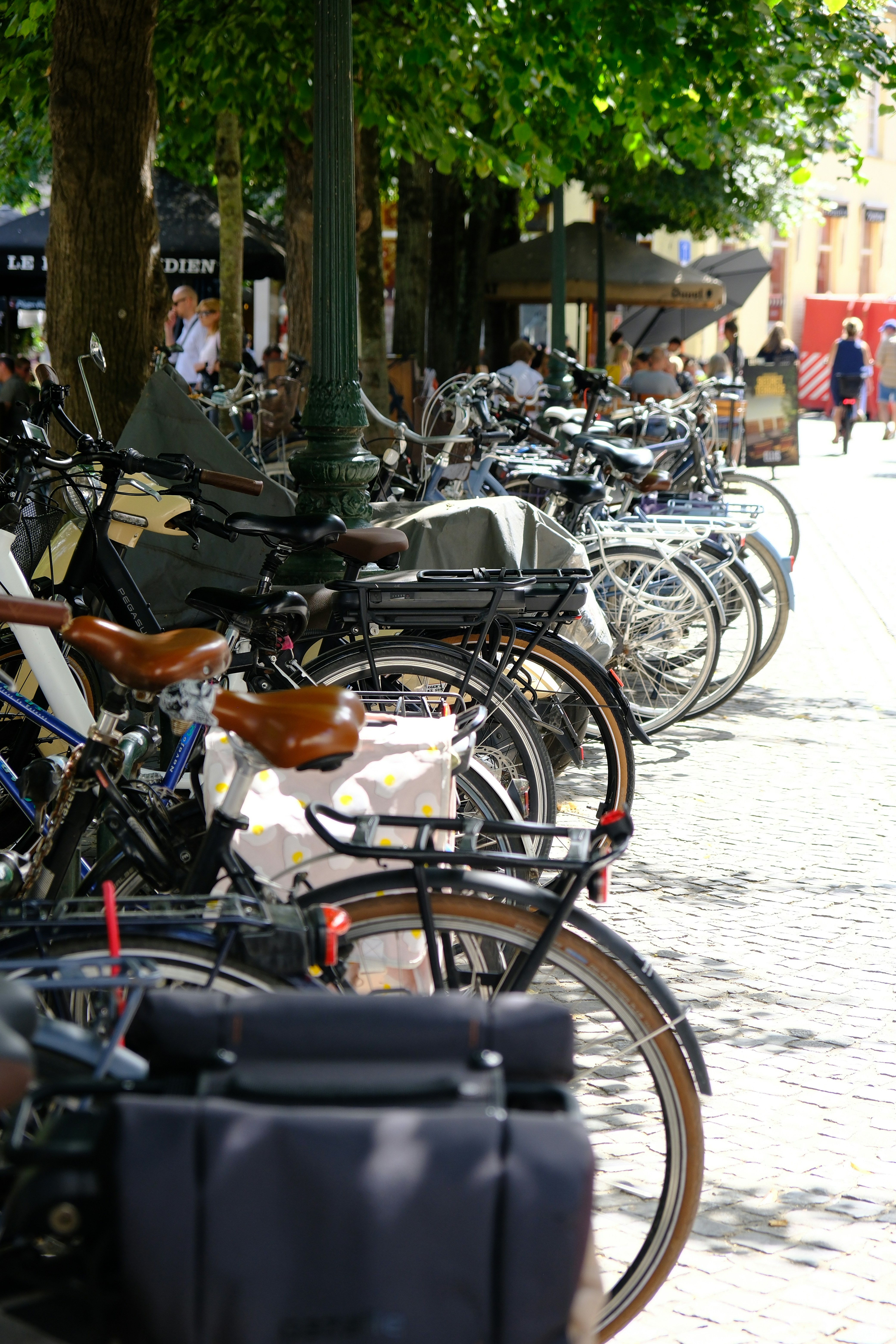 Street Bicycle Alley: A Quiet Row of Wheels in the Sun