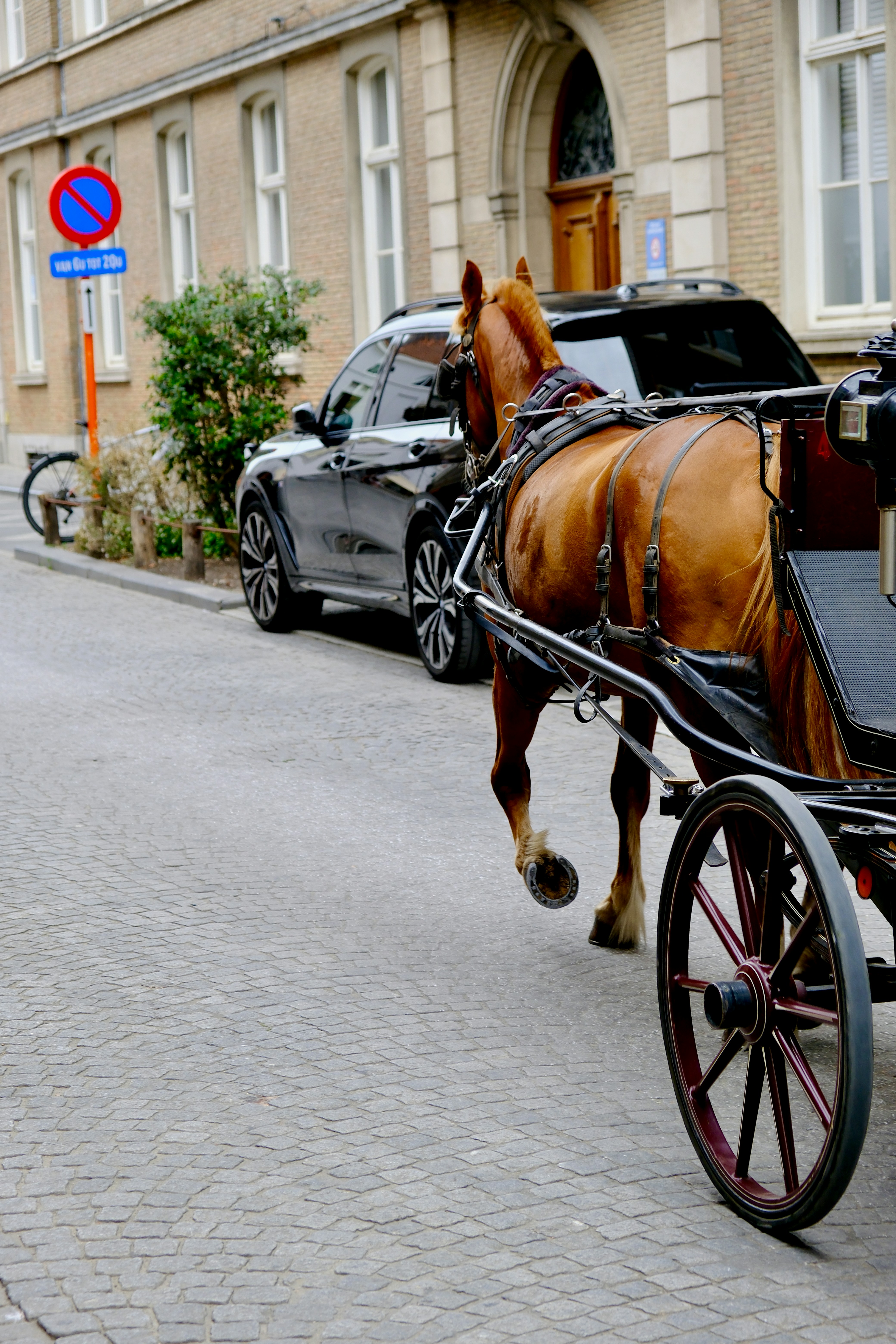 A Street Carriage Slicing Through Cobblestones