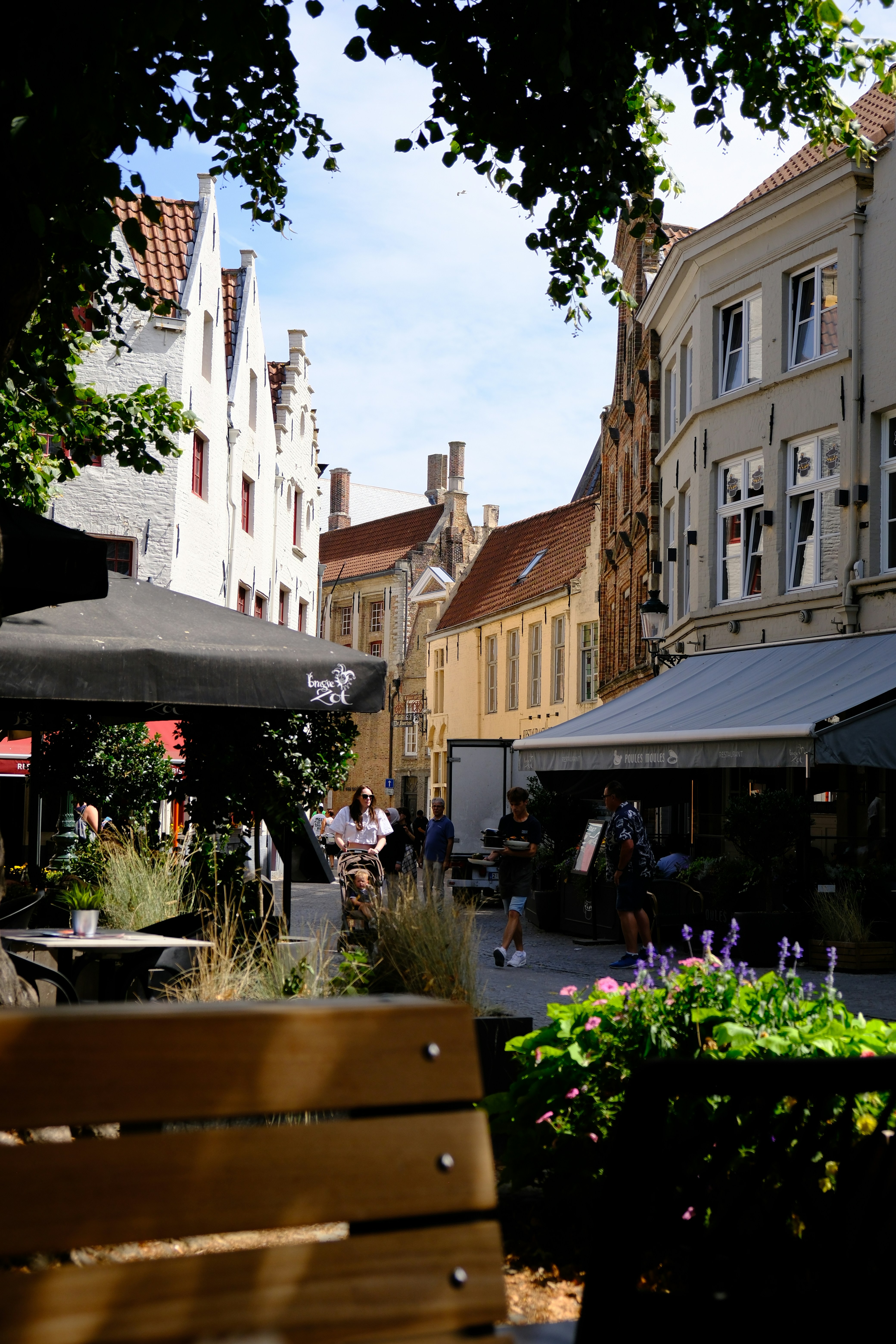 Cobbled Street Café Reach: Sunlit Alley with Shaded Windows