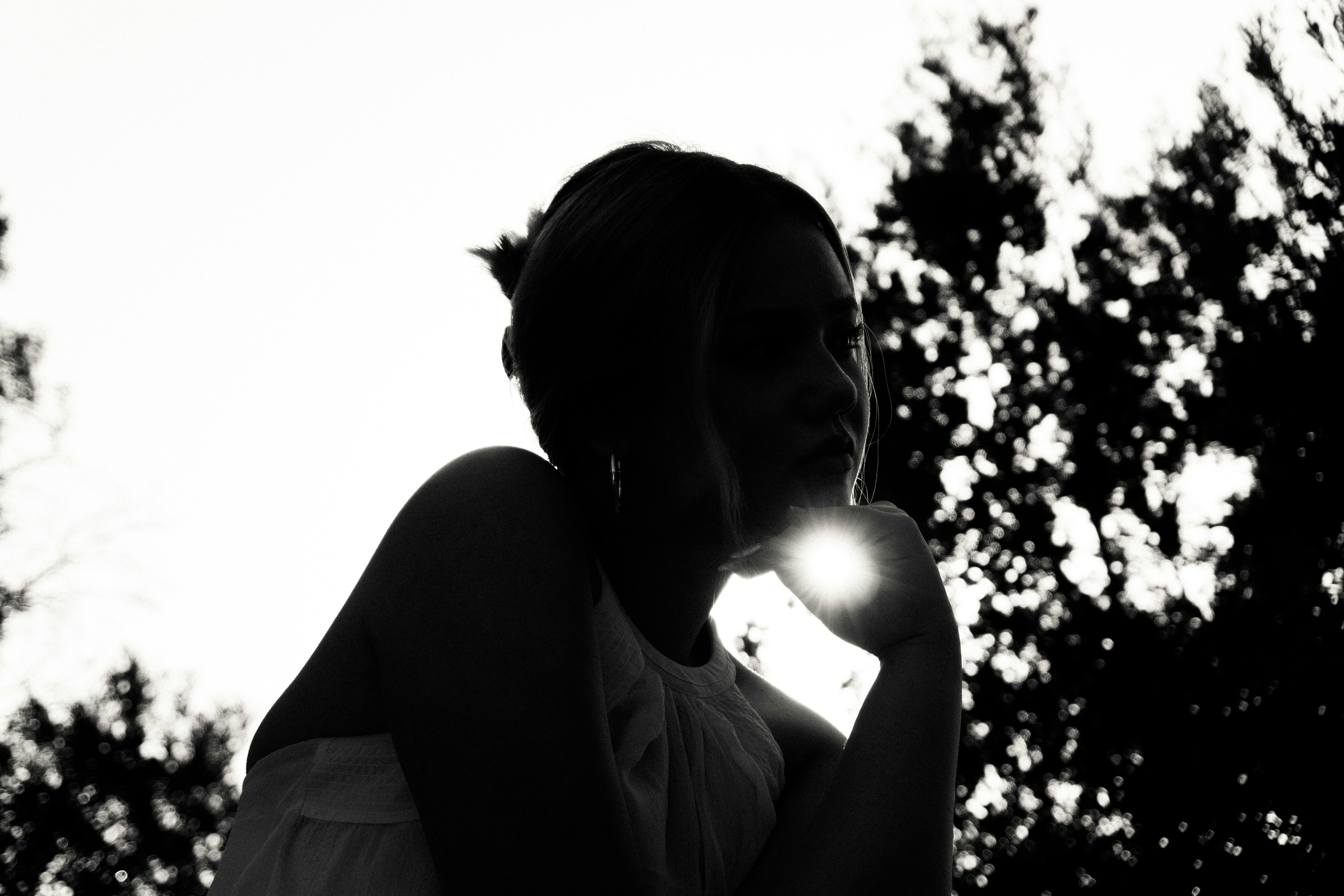 Backlit Quiet: A Silhouette in the Evening Light