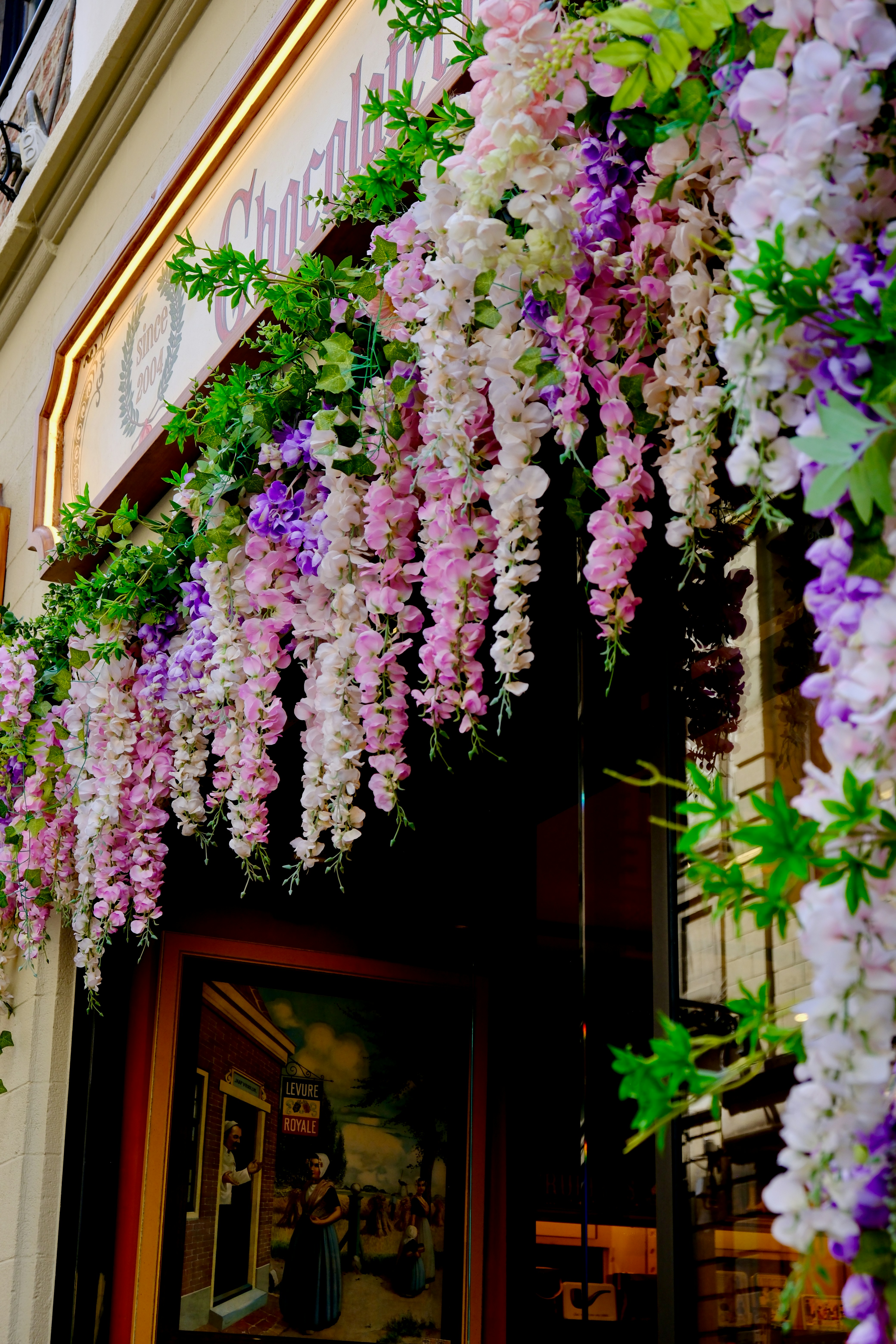 Cascade of Blooms Draped Over a Heritage Facade