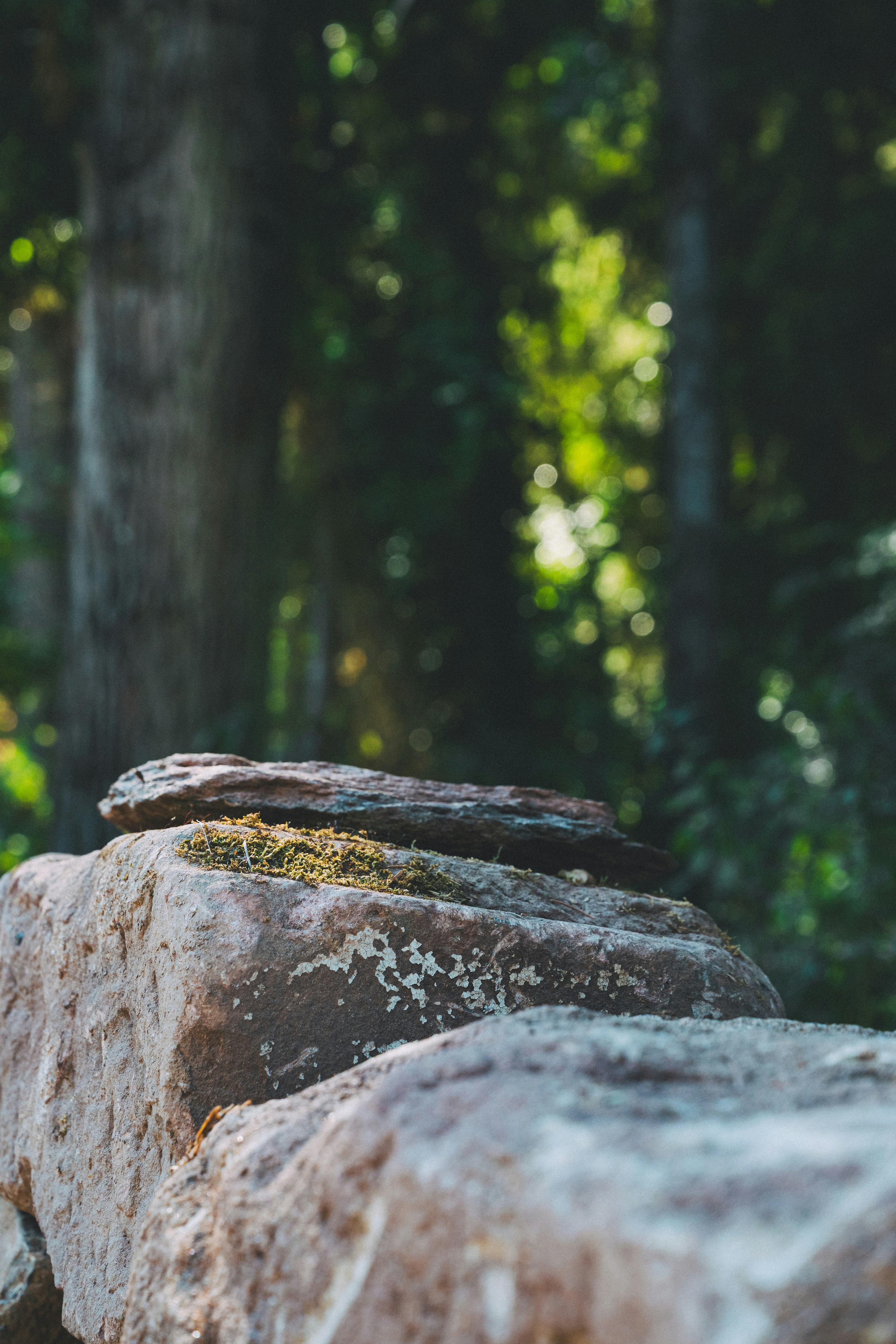 Stacked stones on weathered ledge beneath forest light
