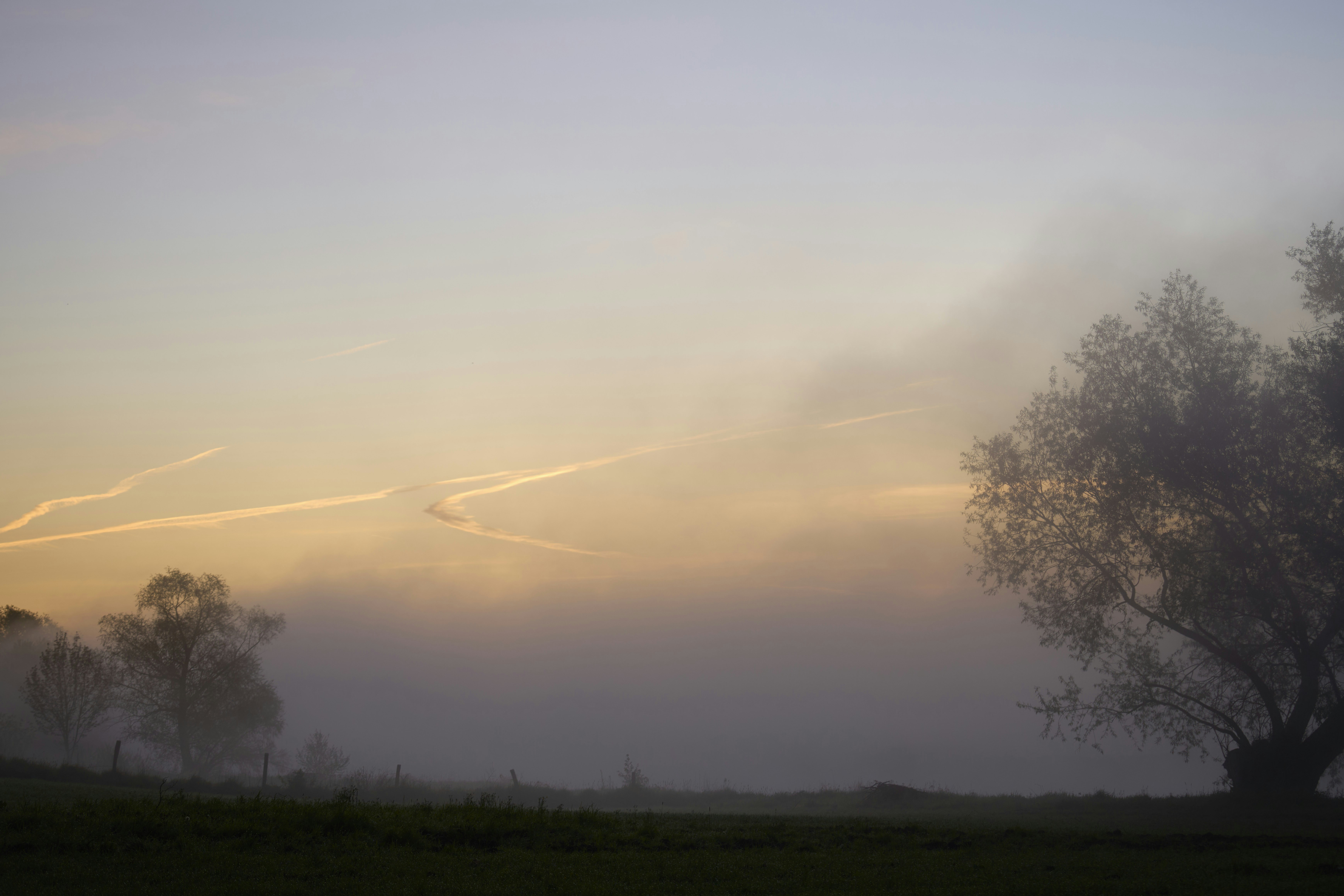 Quiet Horizon: Misty Dawn over Open Field