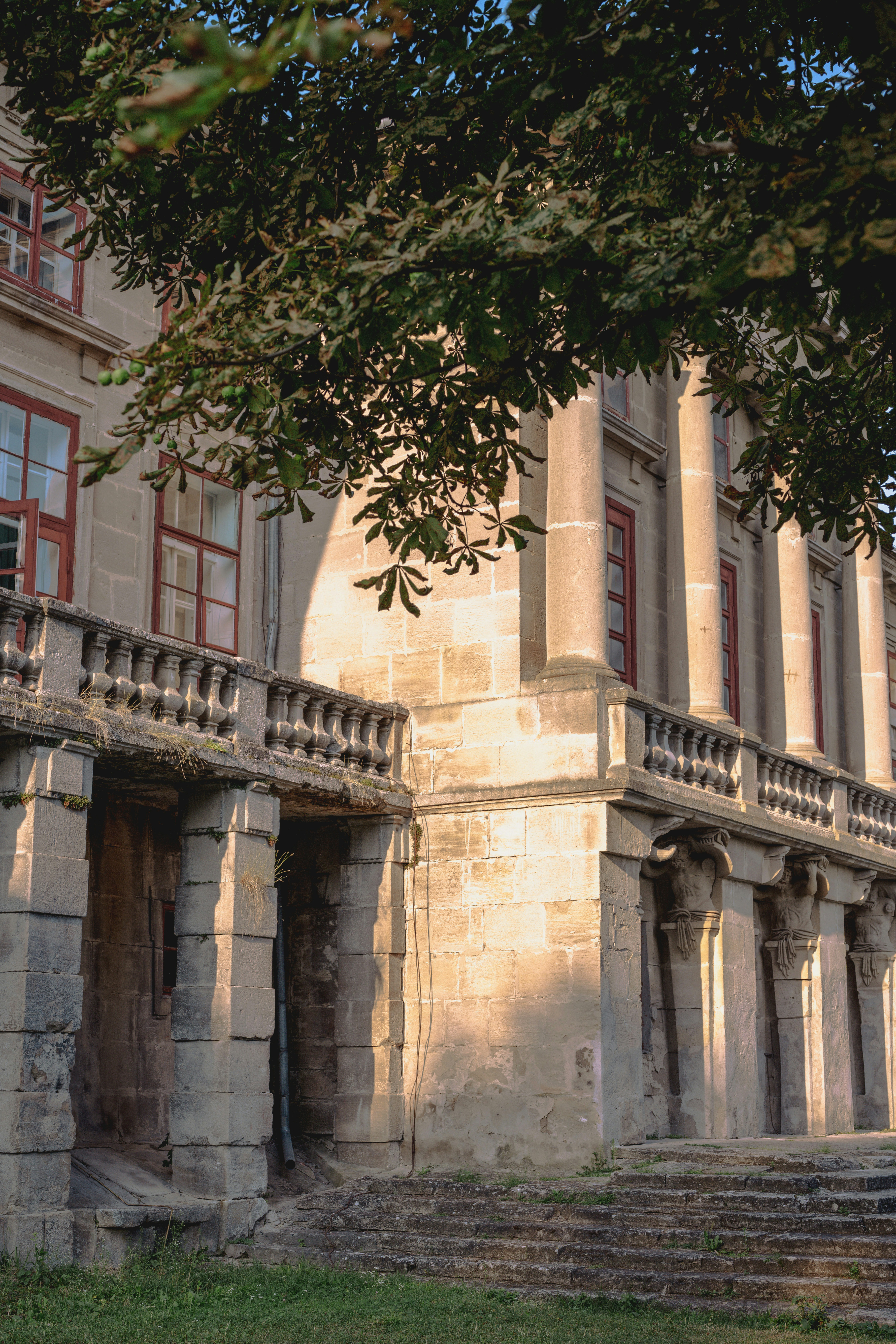 Sunlit Facade Through Dappled Shade