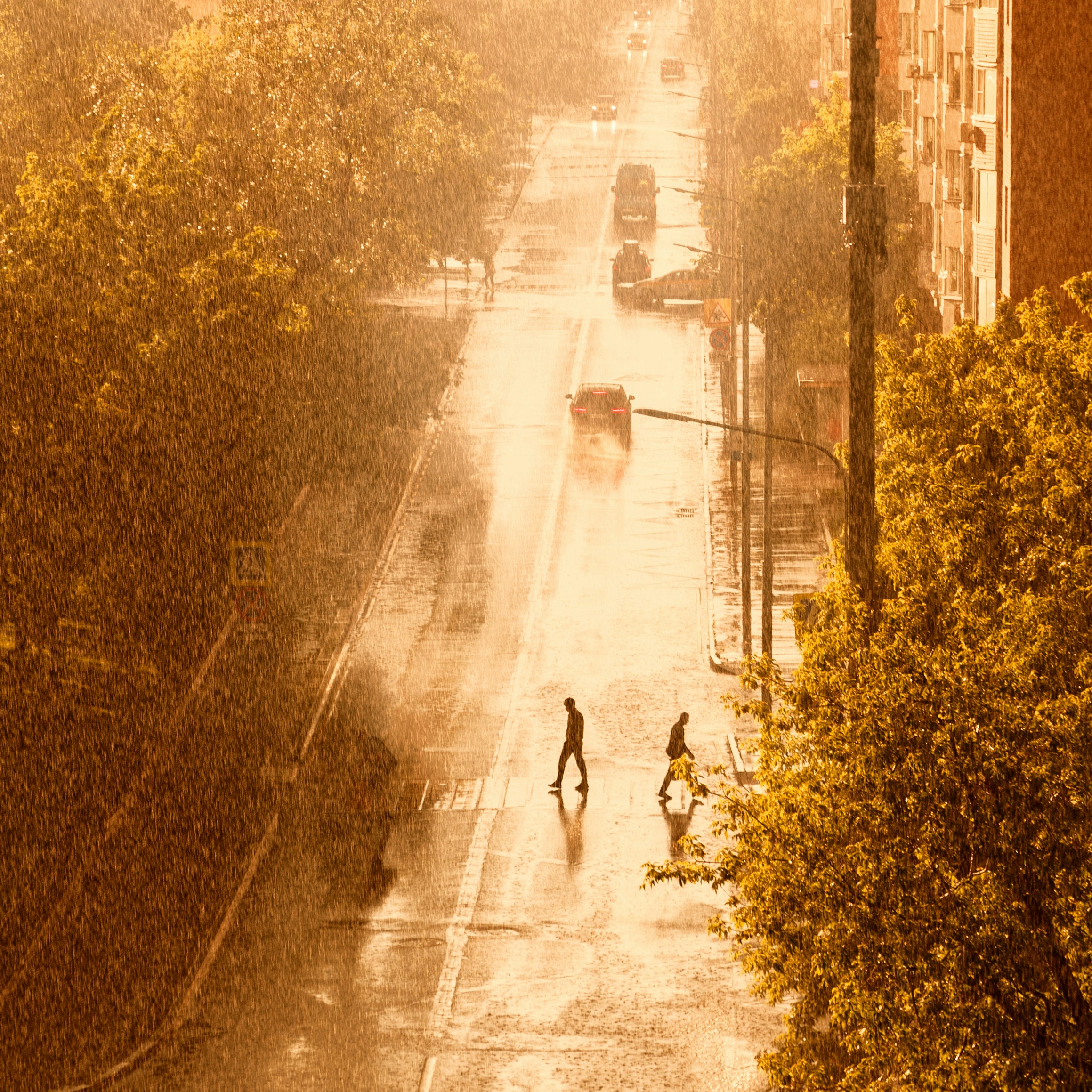 Golden Hour Rain: Pedestrian Crossroad in a Quiet City Street