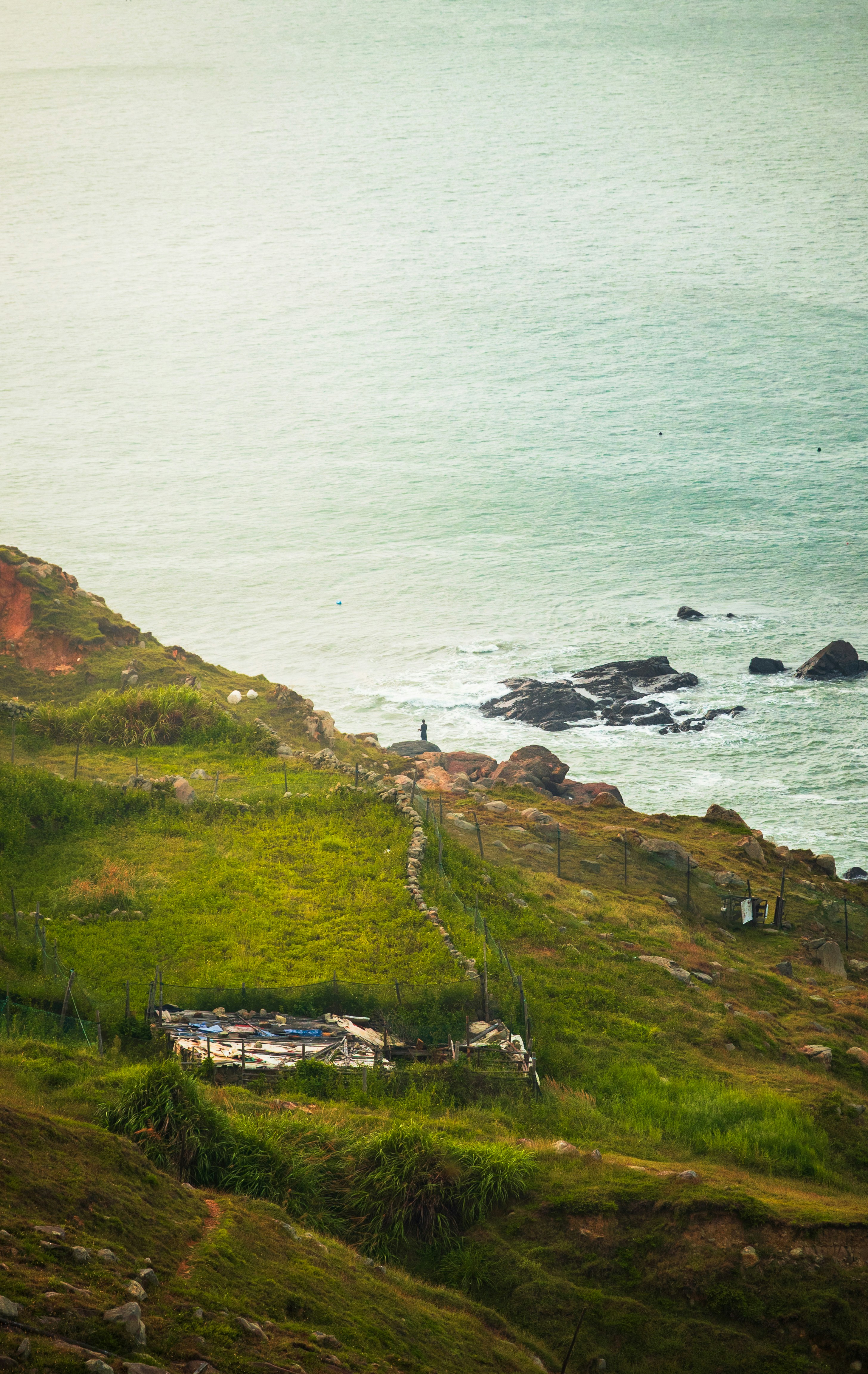 Coastal hillside with a winding fence path leading to rocky shore and calm sea; the scene captures a quiet, sunlit landscape with green grass, rocks, and gentle waves.