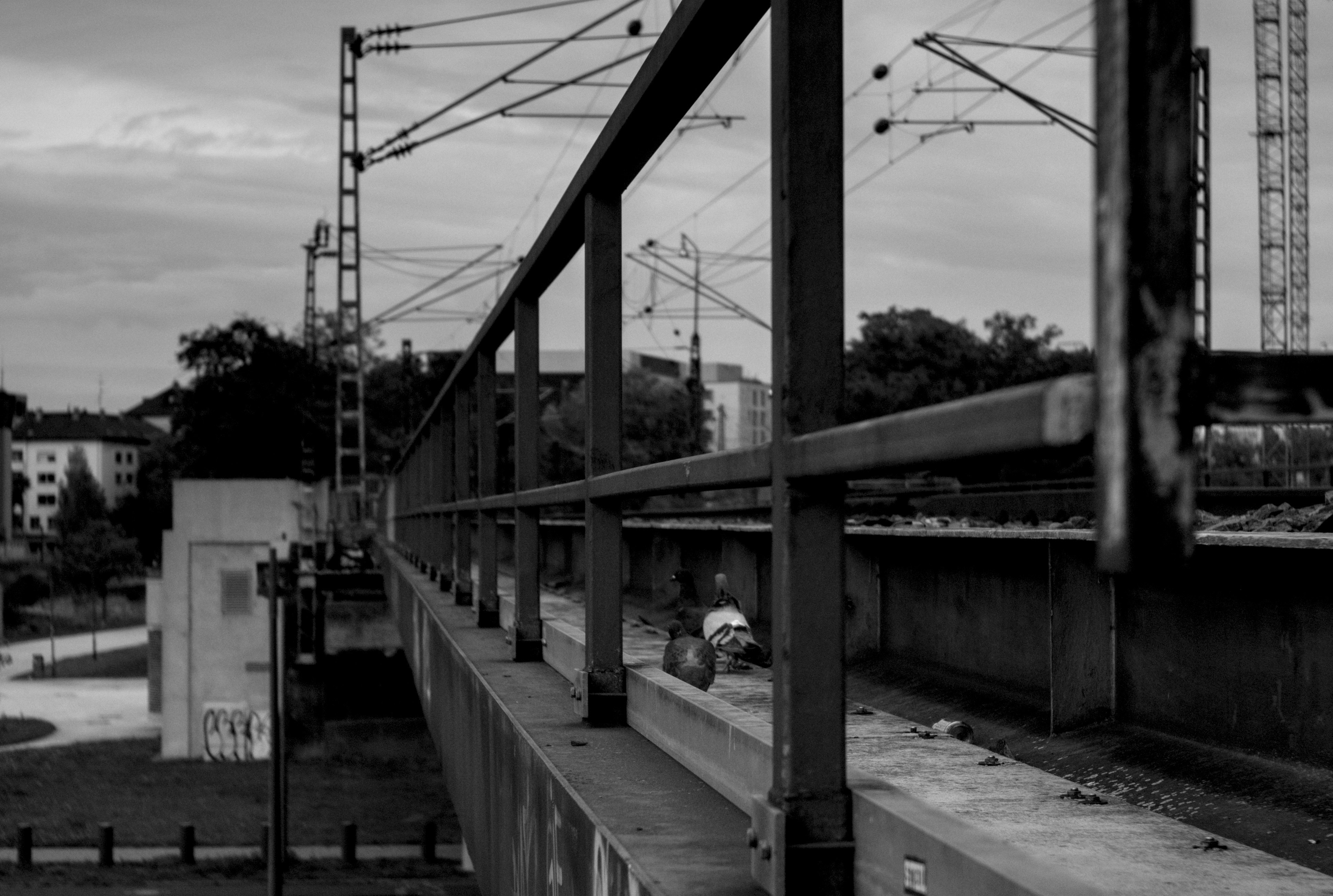 Crossing Rails: A Silent Moment on a Greyscale Bridge