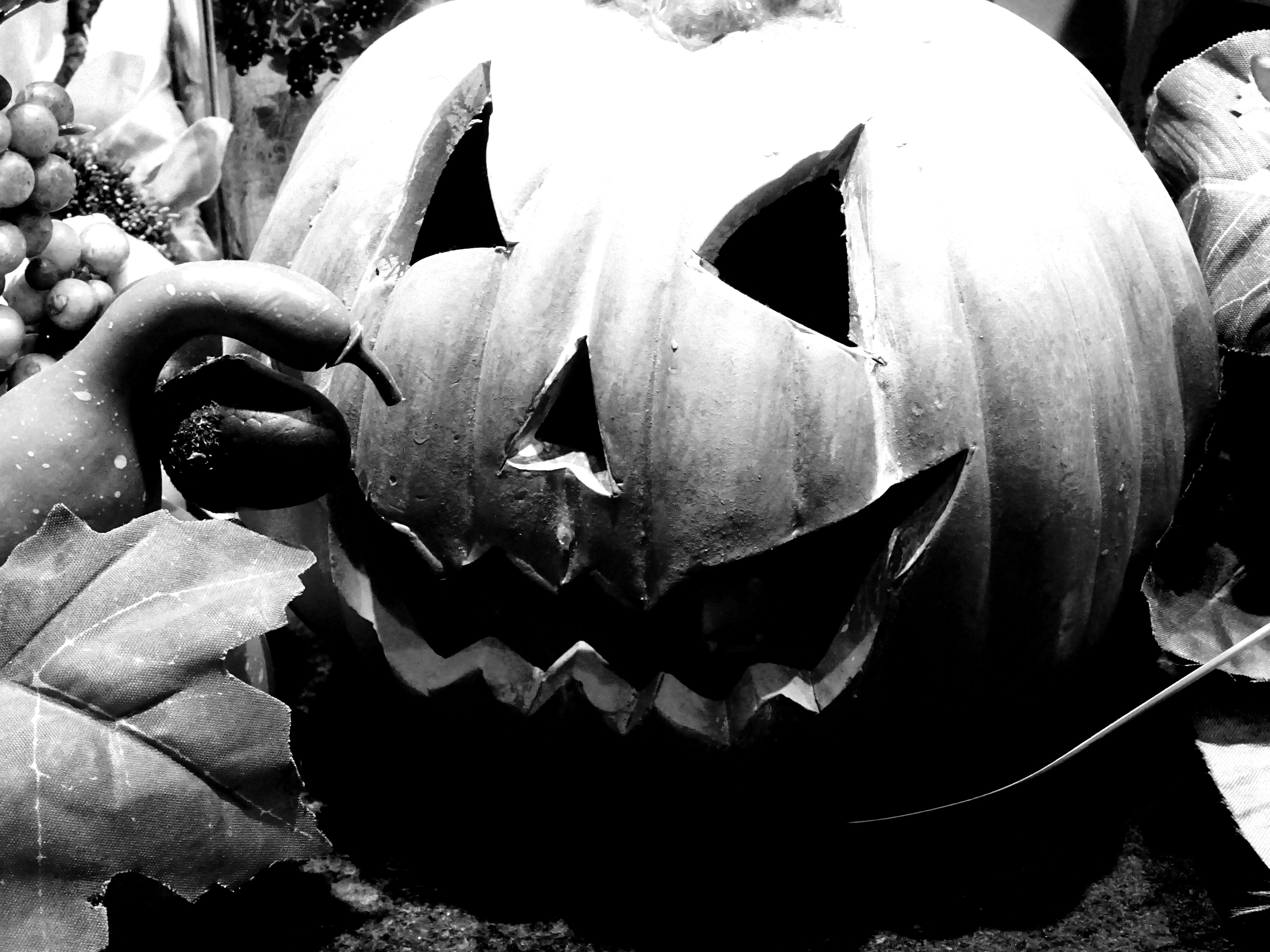 Gleaming Grin: A Halloween Pumpkin with a Classic Jack-o’-Lantern Glare